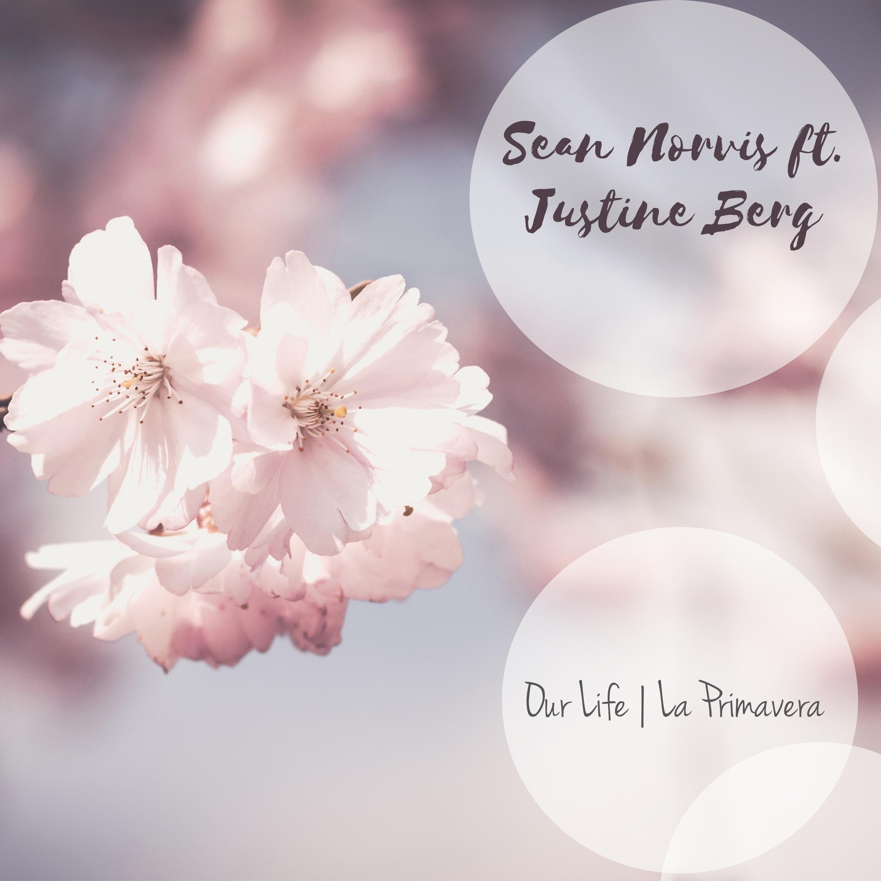 Our Life | La Primavera (Dogg Scar Extended Remix) - Sean Norvis ...