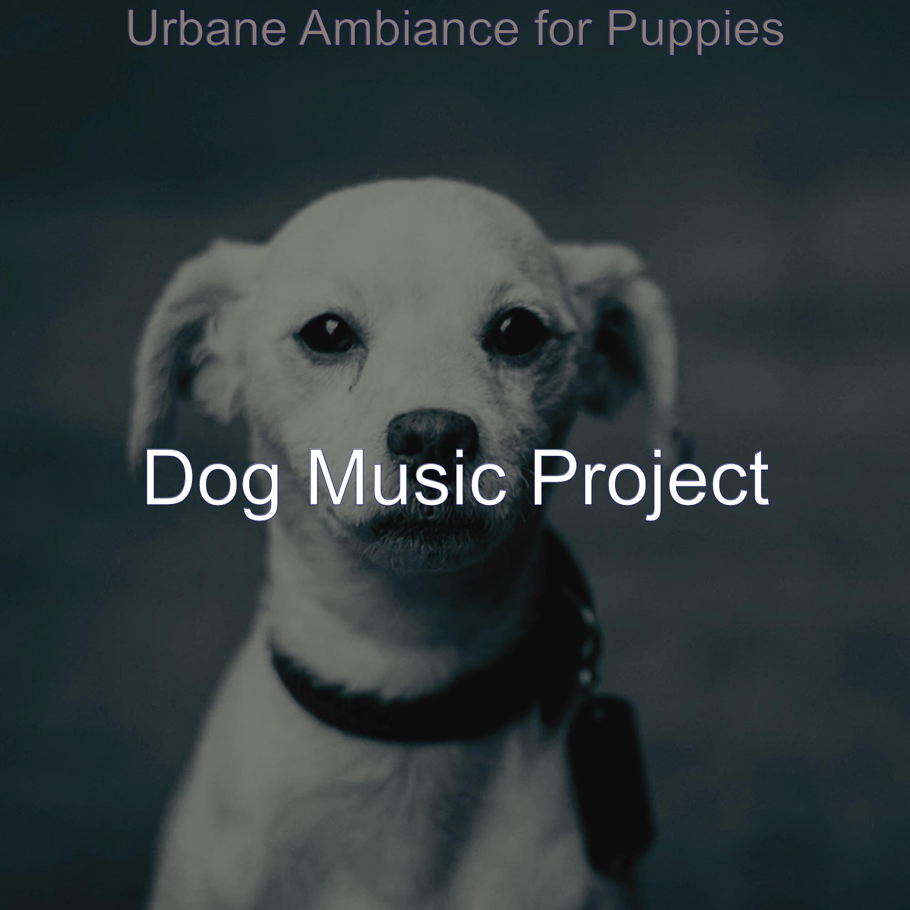 Tremendous Ambience for Puppies - Dog Music Project - 单曲 - 网易云音乐