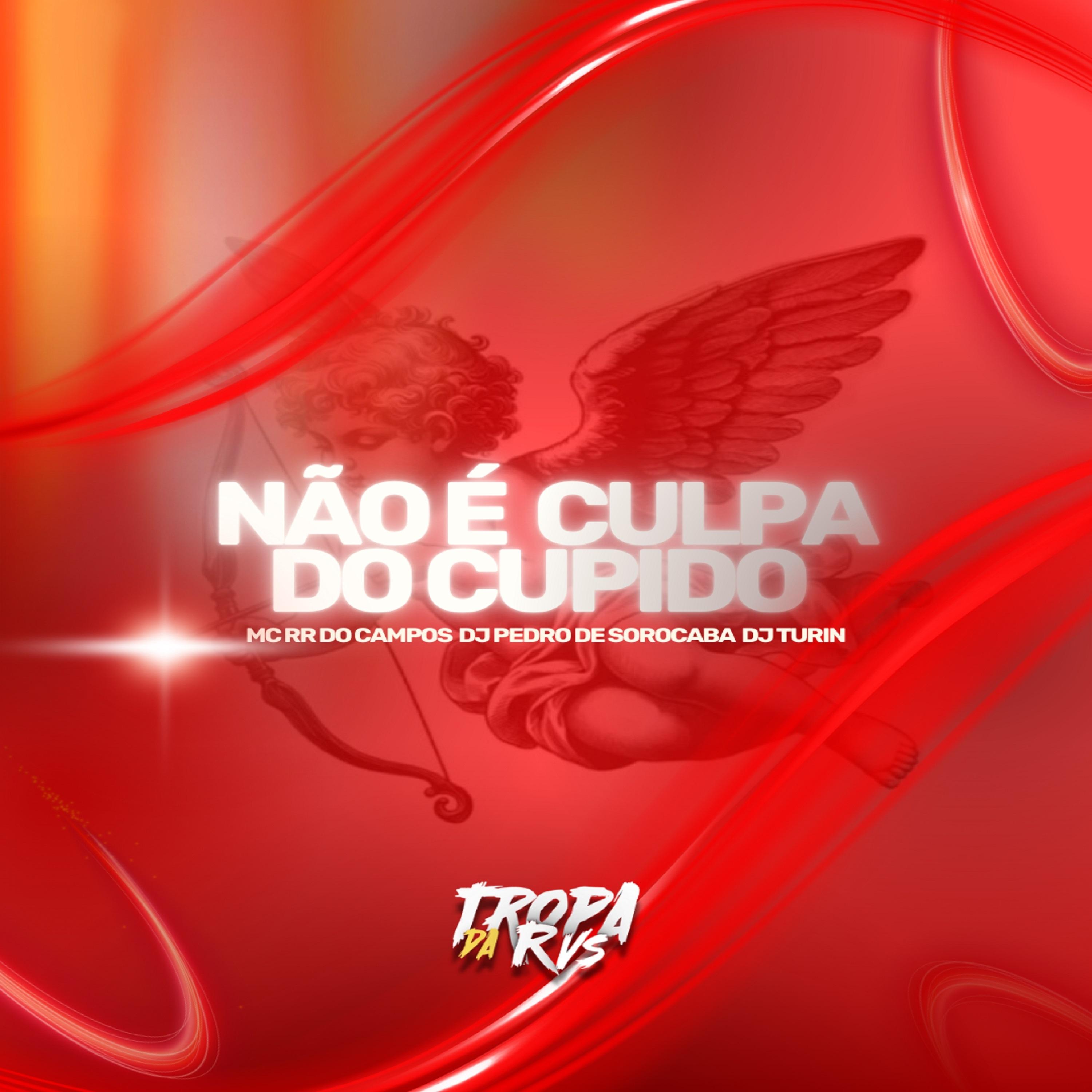 Não é culpa do Cupido - DJ Pedro de Sorocaba/RVS Prod/DJ TURIN/MC RR do ...