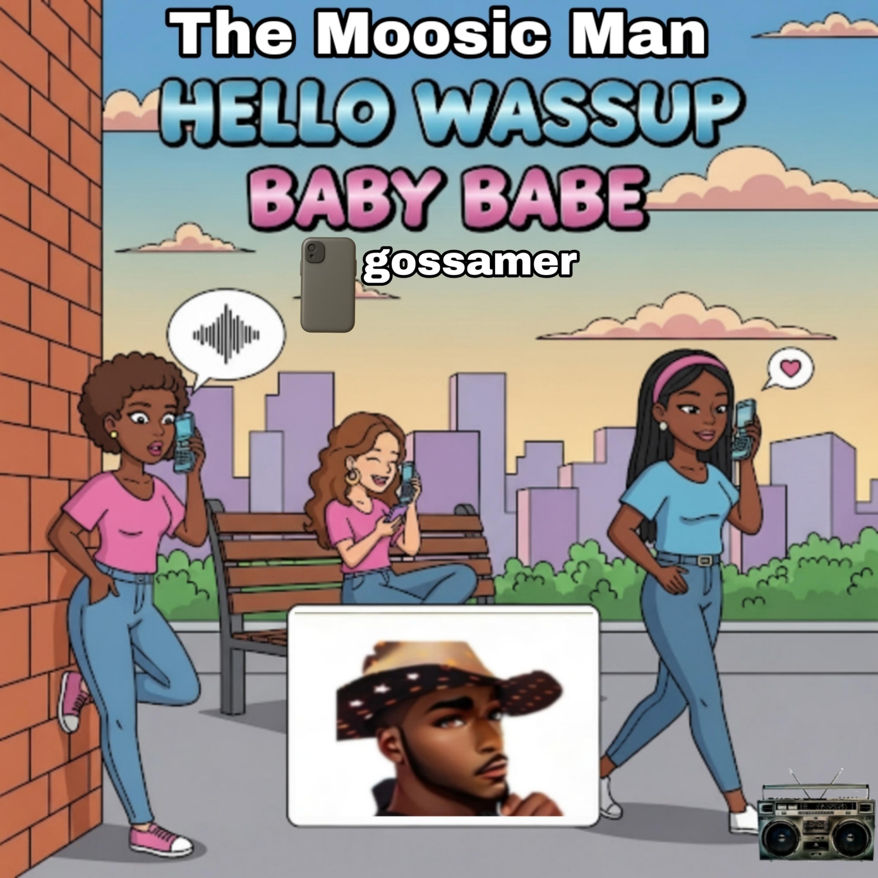 Hello Wassup Baby Babe - The Moosic Man - 专辑 - 网易云音乐