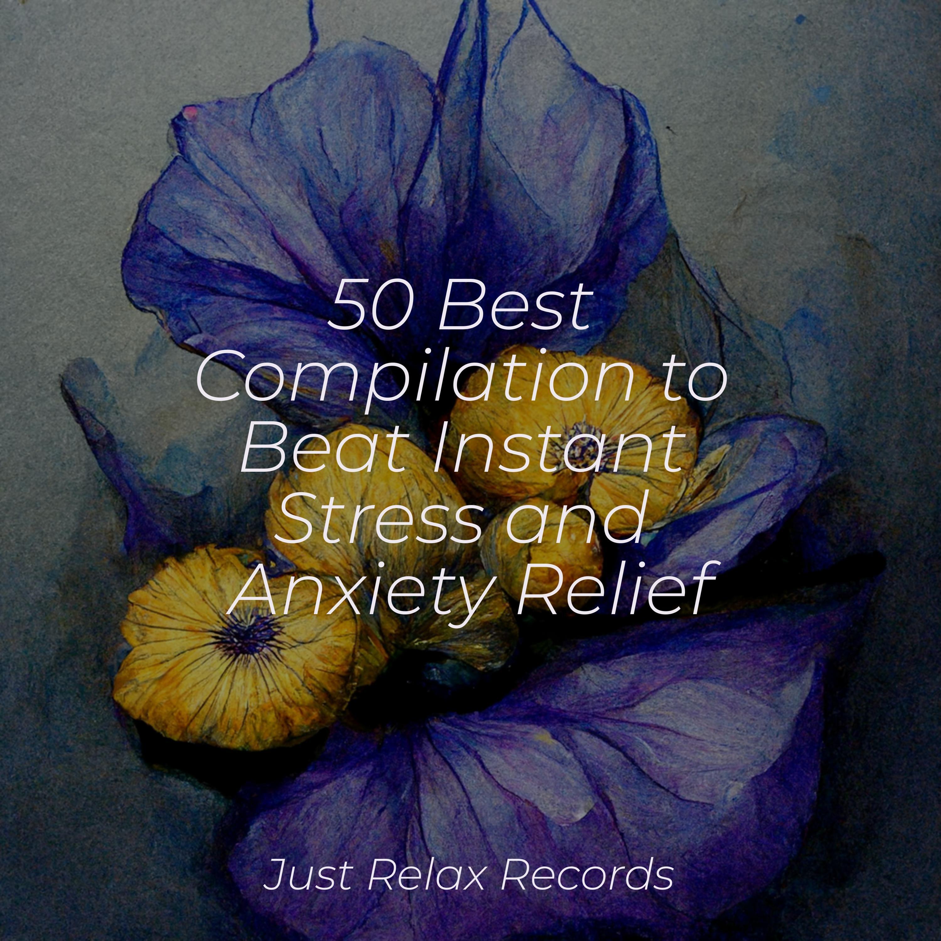 Dancing in Sunlit Meadows - Música relaxante/Reiki Tribe/ASMR HD - 单曲 ...