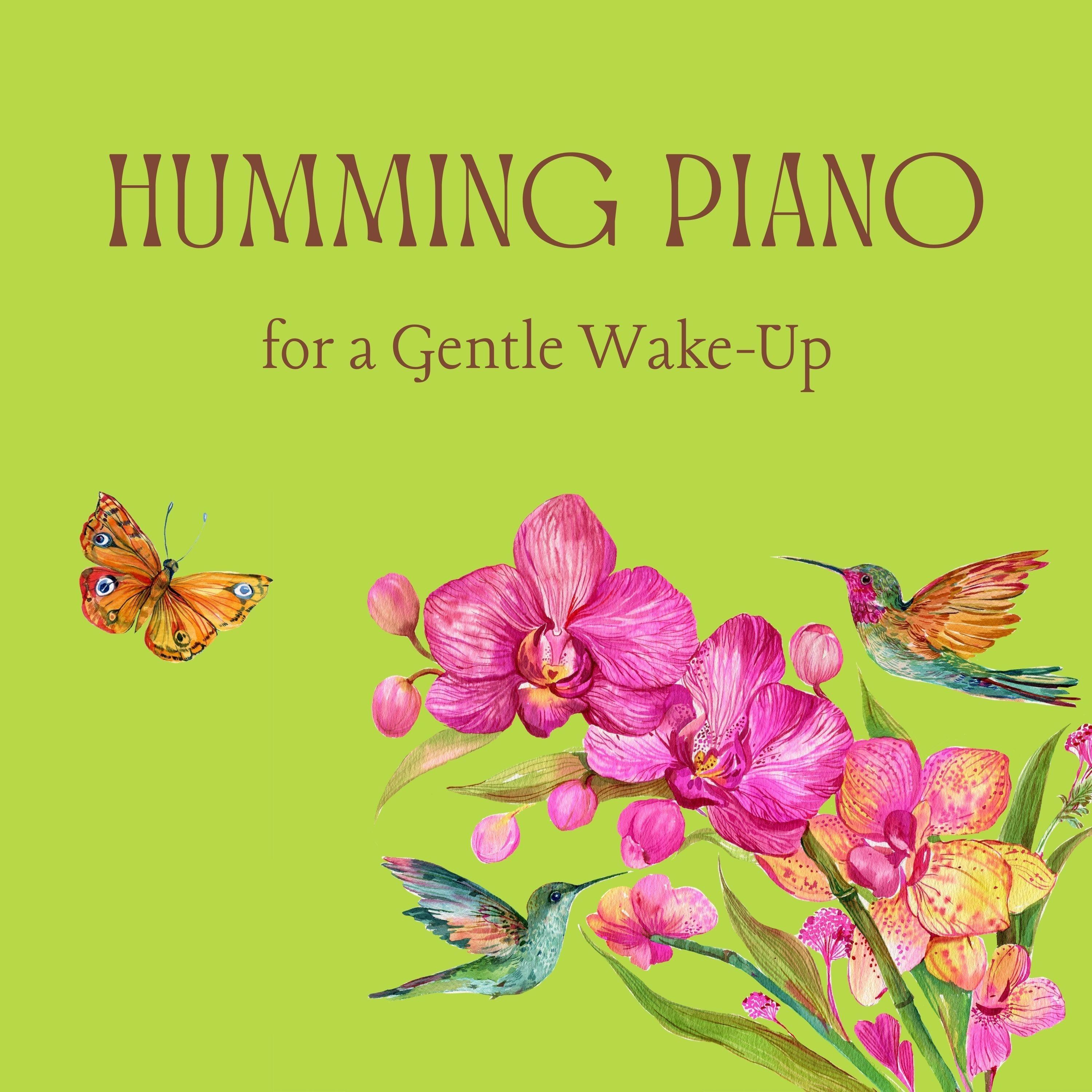 Humming Piano for a Gentle Wake-Up - Relax α Wave - 专辑 - 网易云音乐
