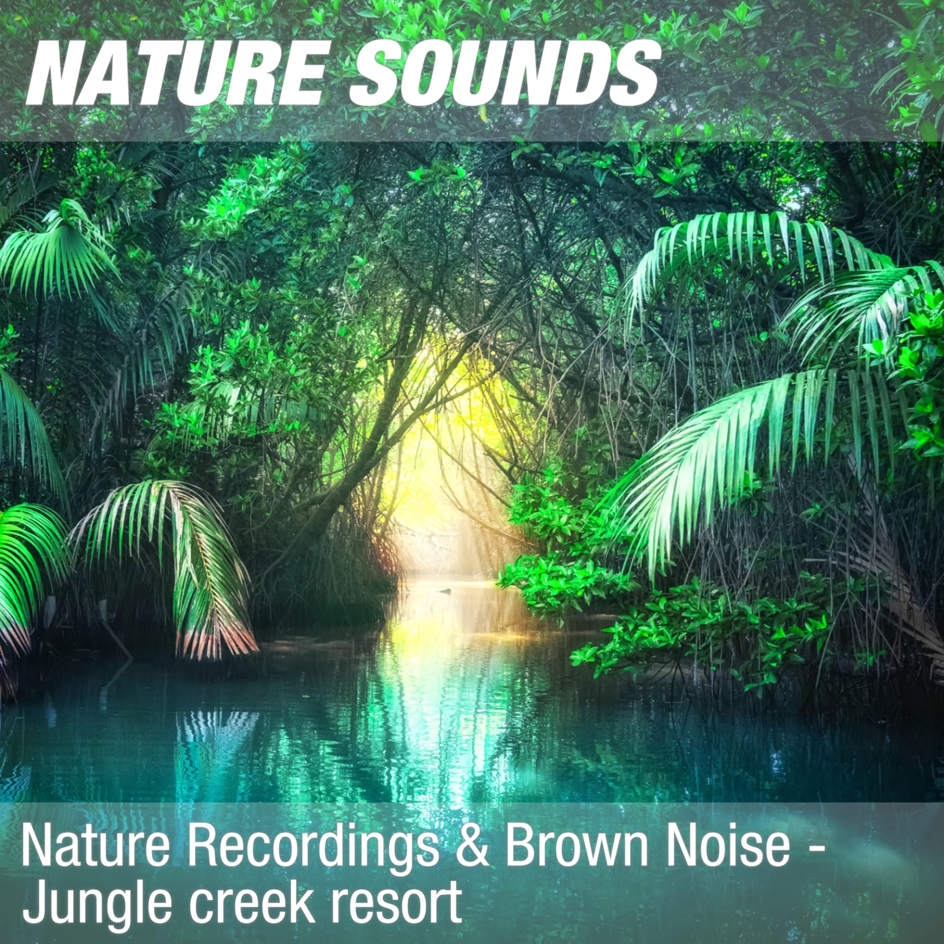 Nature Sounds for Yoga, Pilates & Breathing Meditation (Calming jungle ...