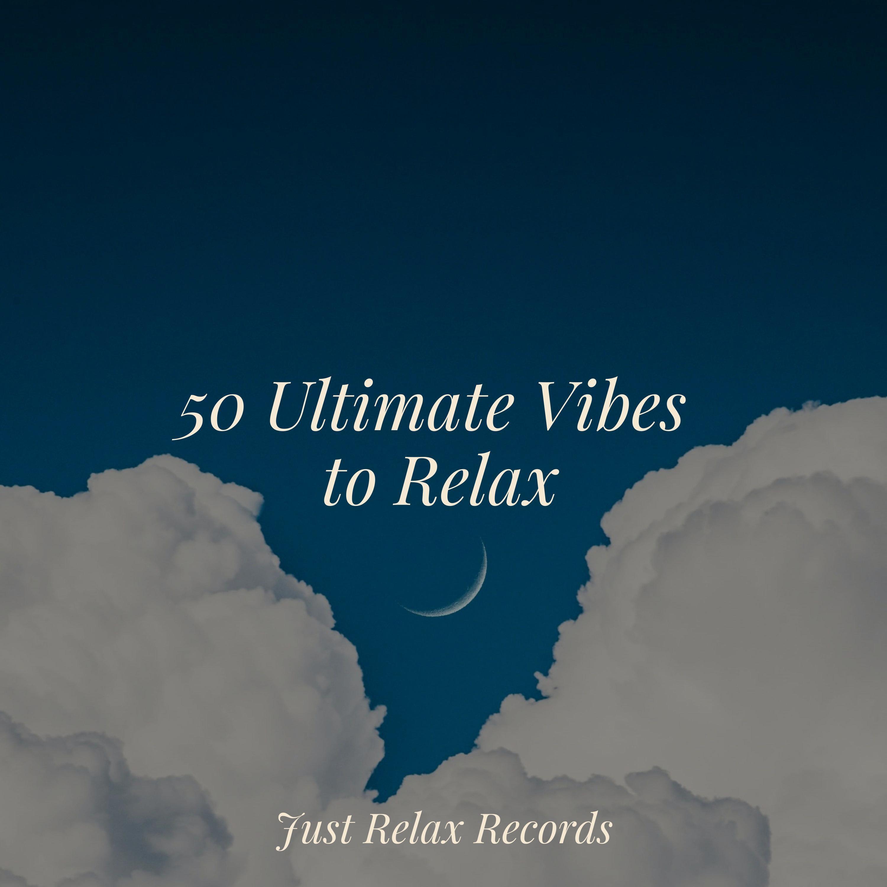50 Ultimate Vibes to Relax - Baby Lullaby - 专辑 - 网易云音乐