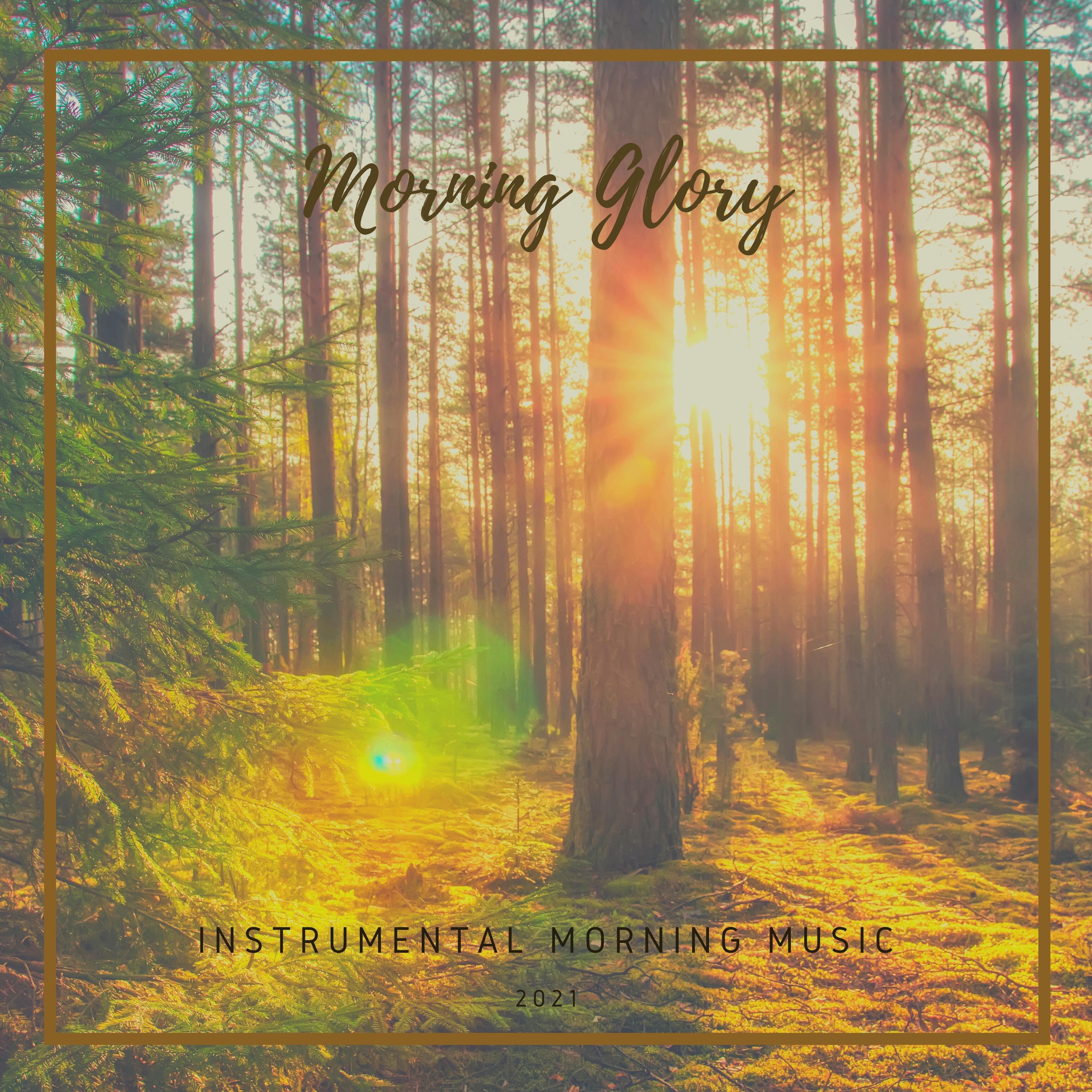The Sun Is There - Instrumental Morning Music - 单曲 - 网易云音乐