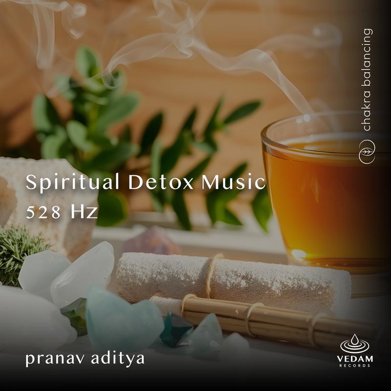 Spiritual Detox Music 528 Hz - Pranav Aditya/Vedam - 单曲 - 网易云音乐