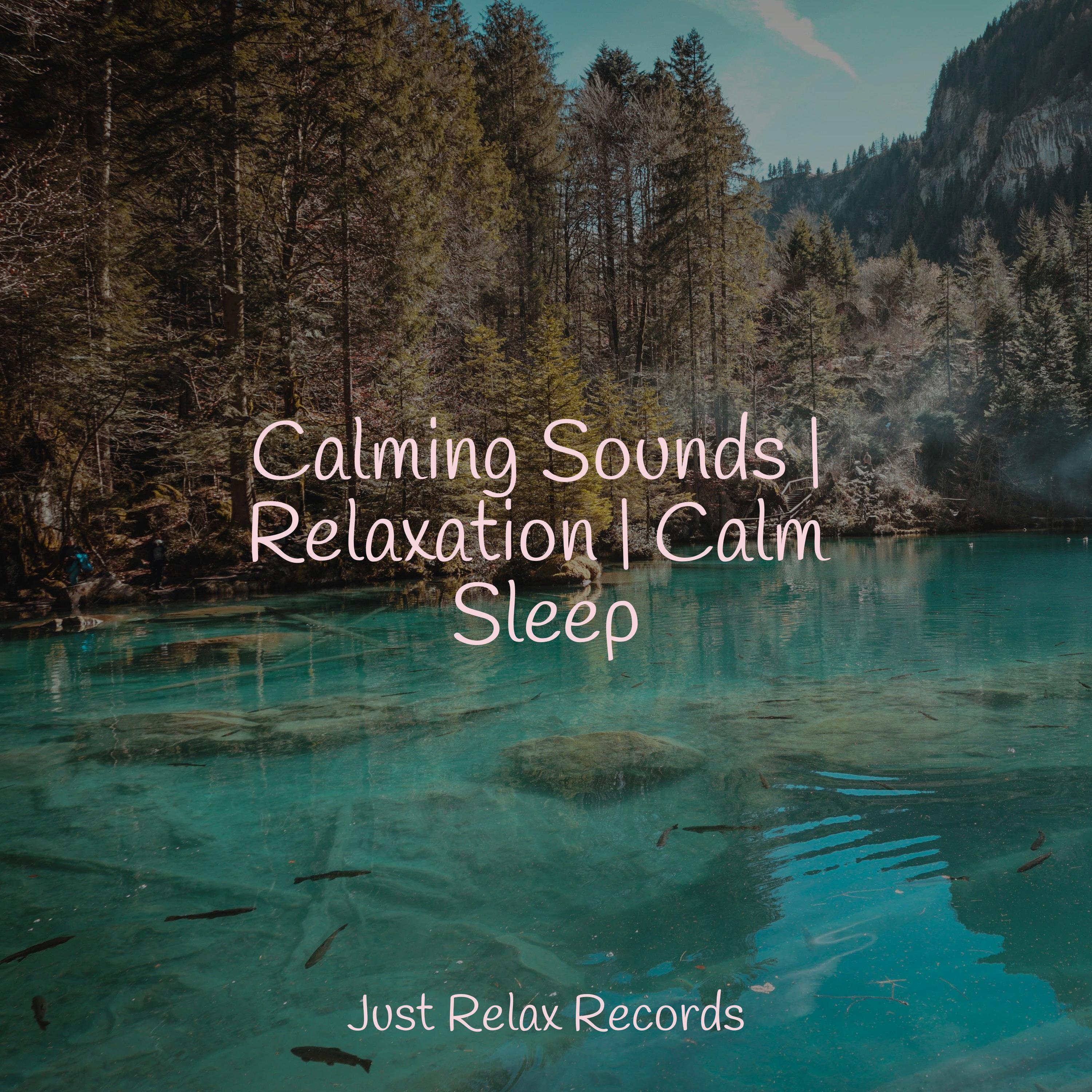Calming Sounds | Relaxation | Calm Sleep - Nature Sounds Nature Music ...