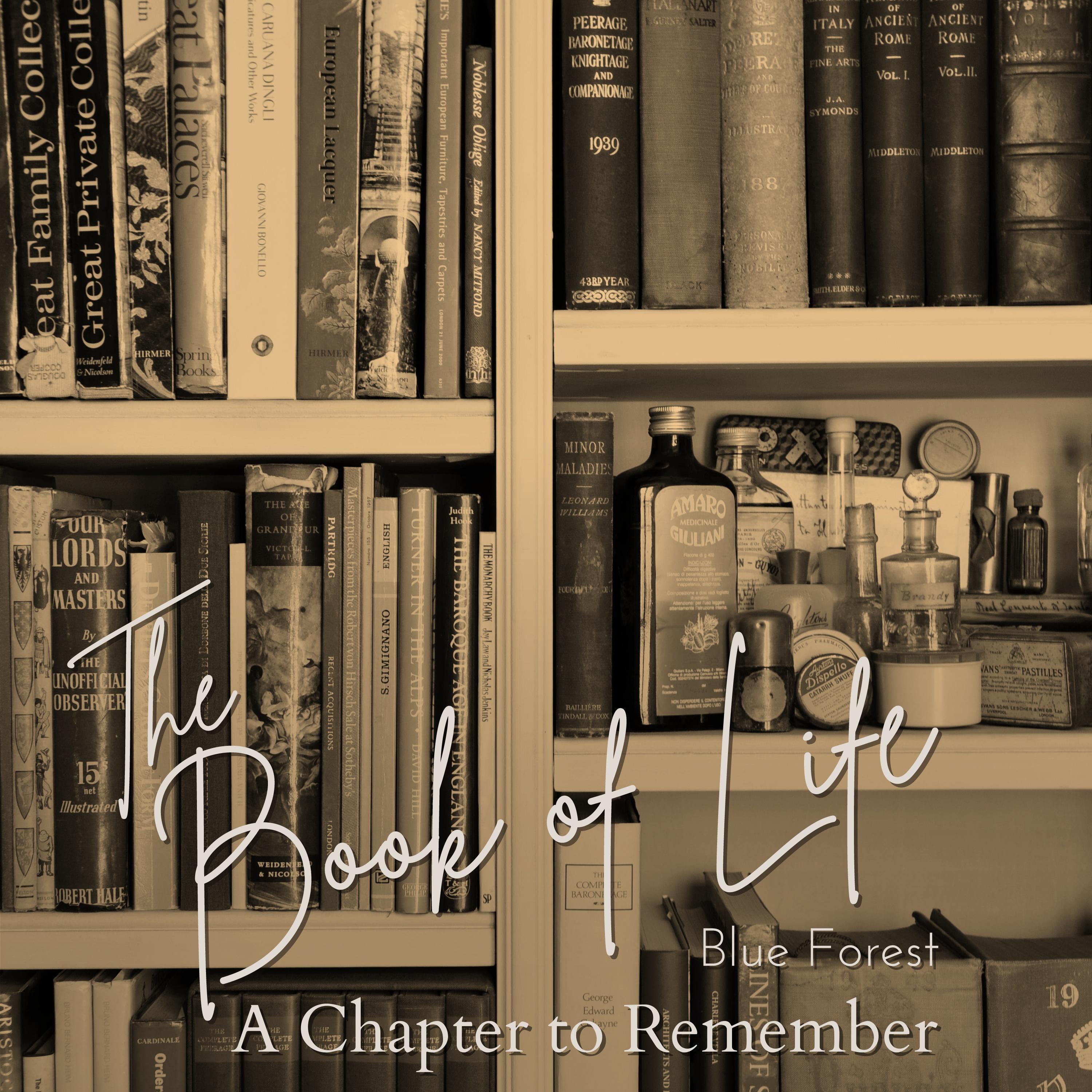 The Judge of the Chapters - Blue Forest - 单曲 - 网易云音乐