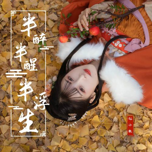 半醉半醒半浮生 - 赵小敢 - 专辑 - 网易云音乐