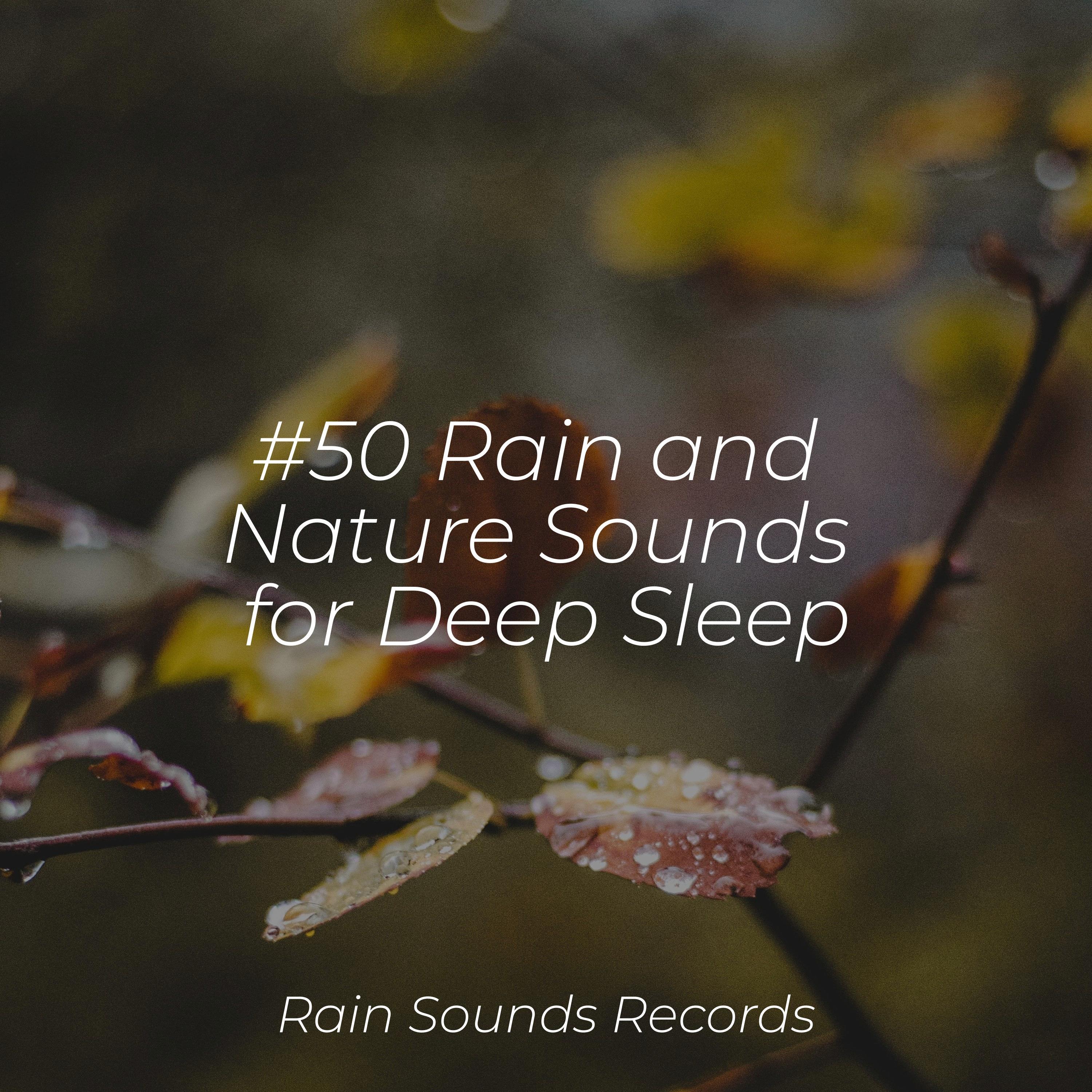 Undulating Depths - Musica Romantica/New Age/Sonidos de la Naturaleza ...