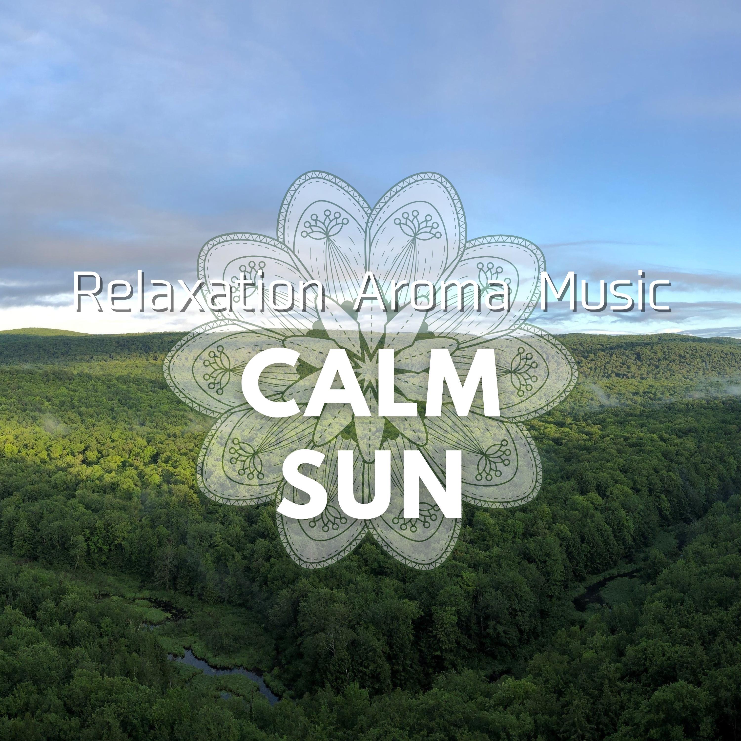 Relaxation Aroma Music - Calm Sun - 专辑 - 网易云音乐