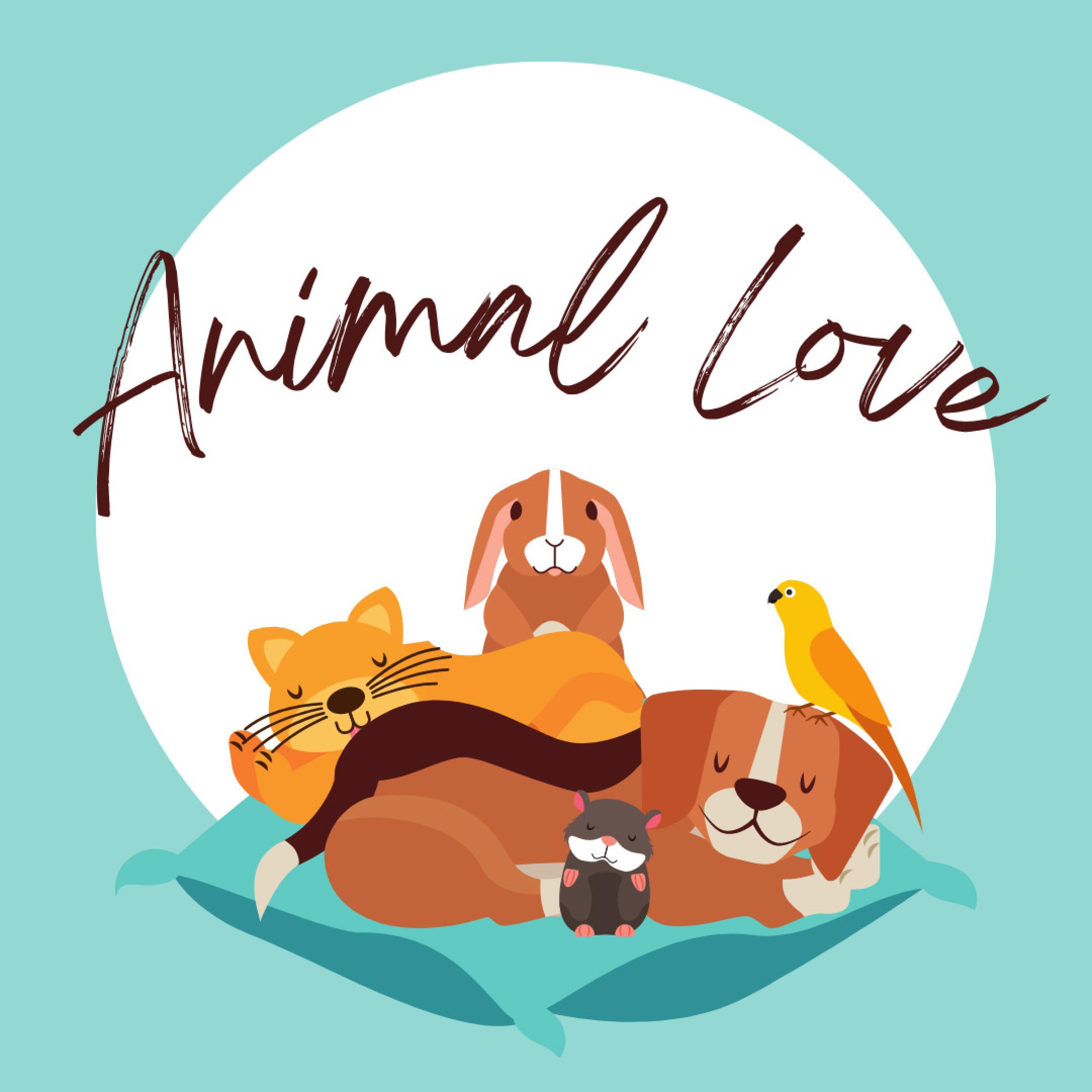 Animal Love (동물을 사랑해)（Animal Love） - mmmstudio - 单曲 - 网易云音乐