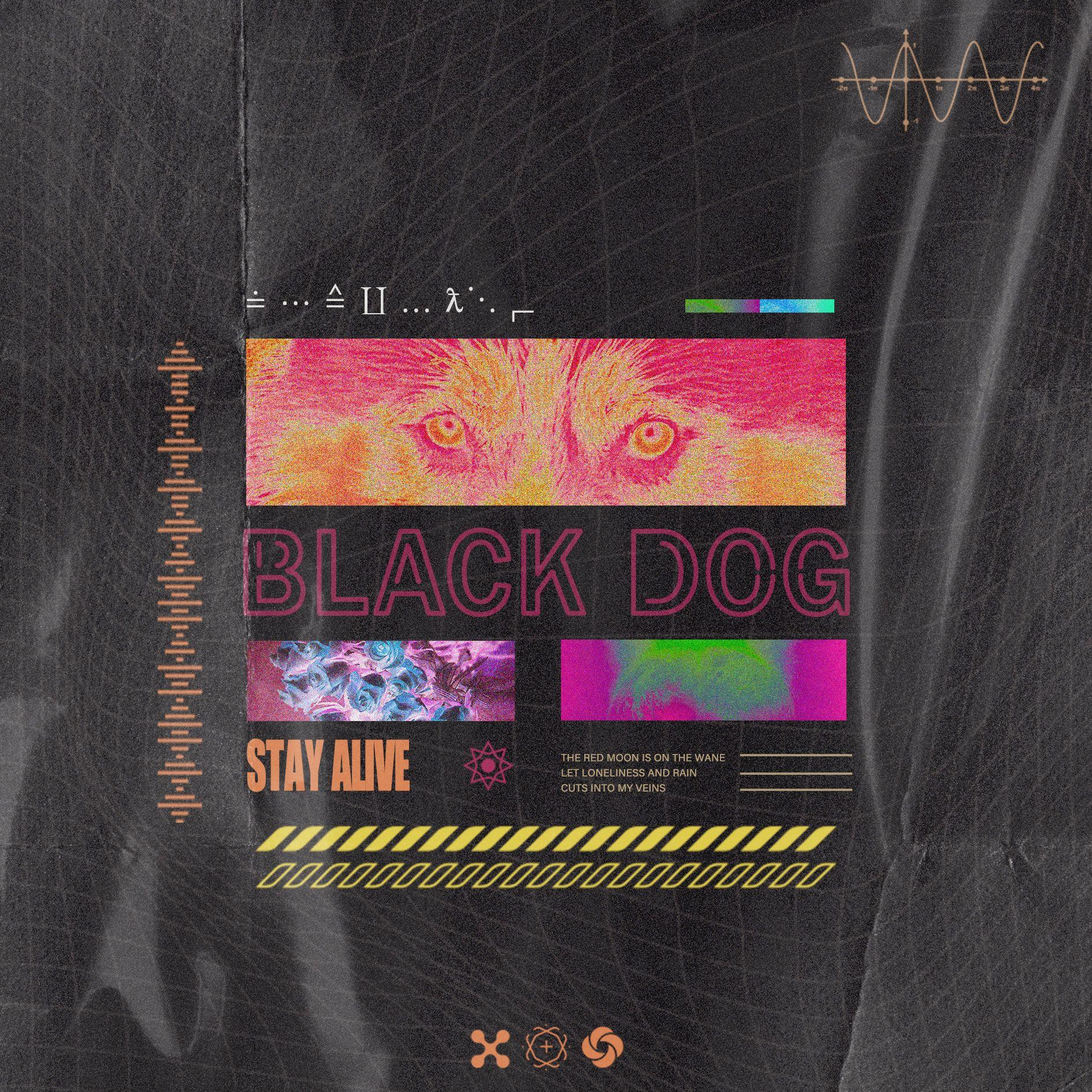 Black Dog - STAY ALIVE乐队 - 专辑 - 网易云音乐