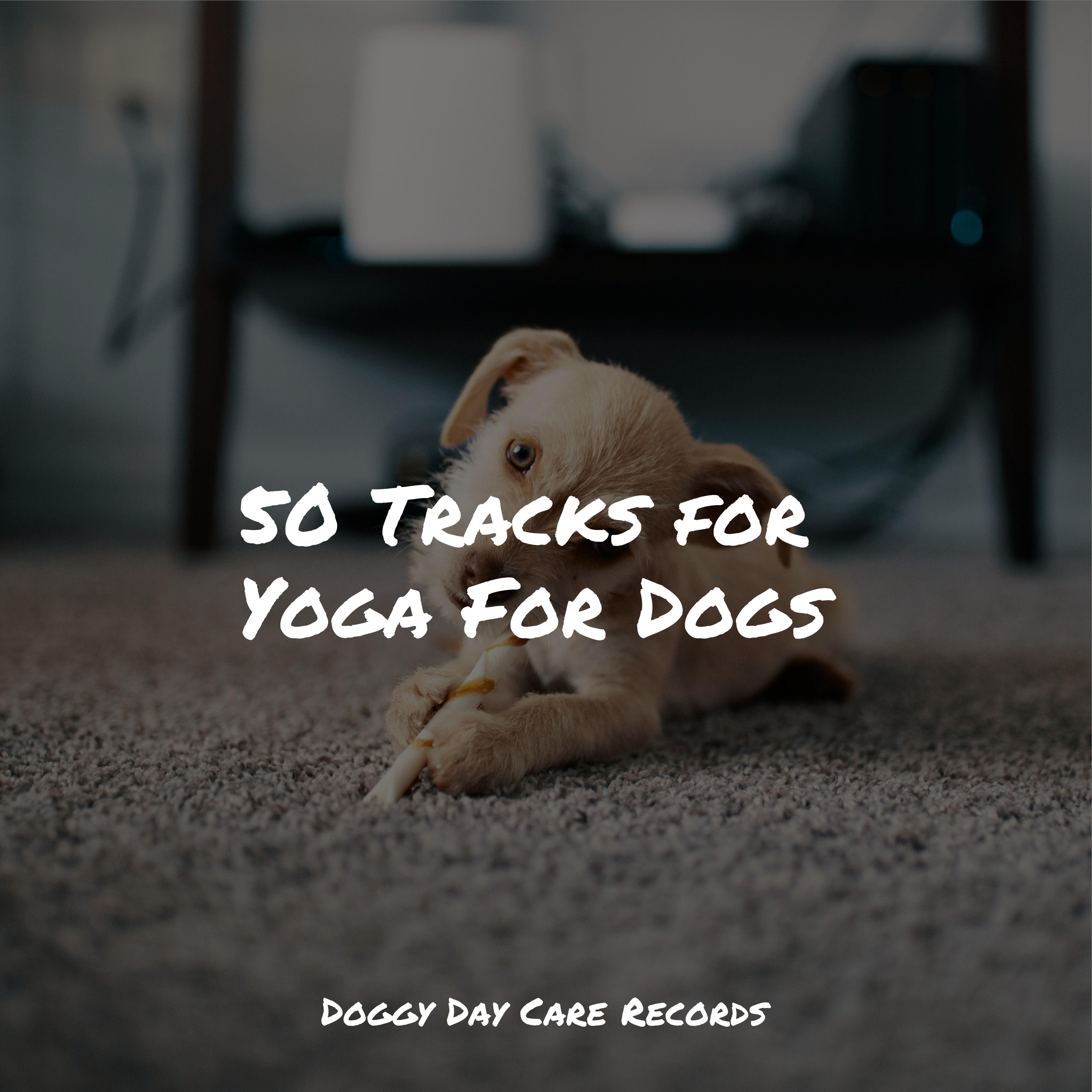 Calm - Relaxation Music For Dogs/Official Pet Care Collection/Music For ...