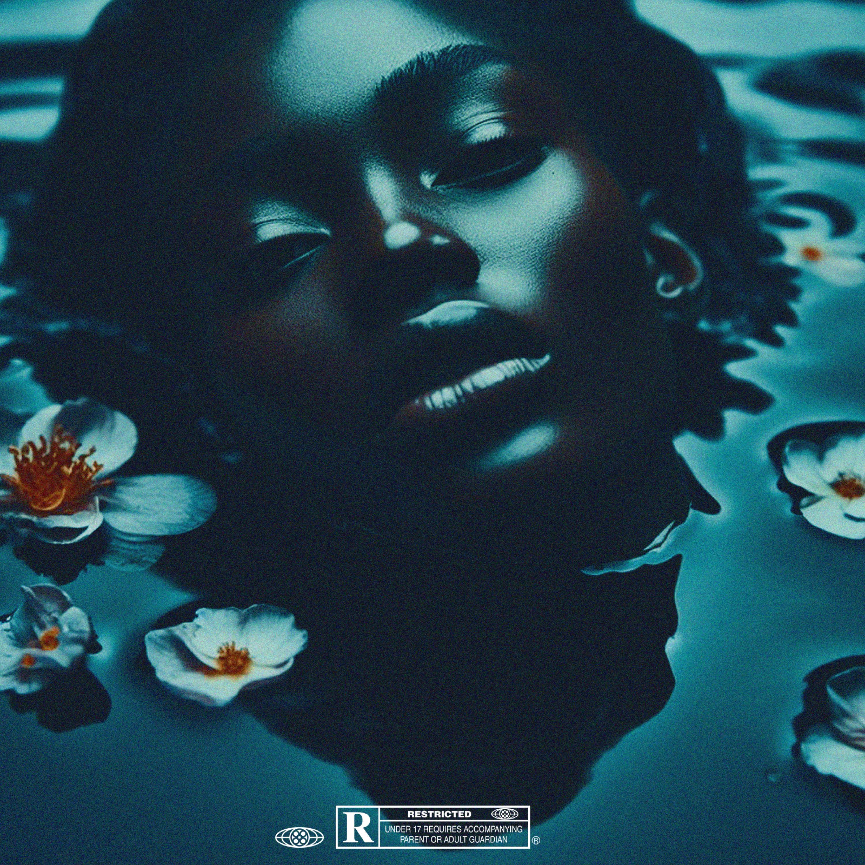 Water Under The Bridge - Sean Rose - 专辑 - 网易云音乐