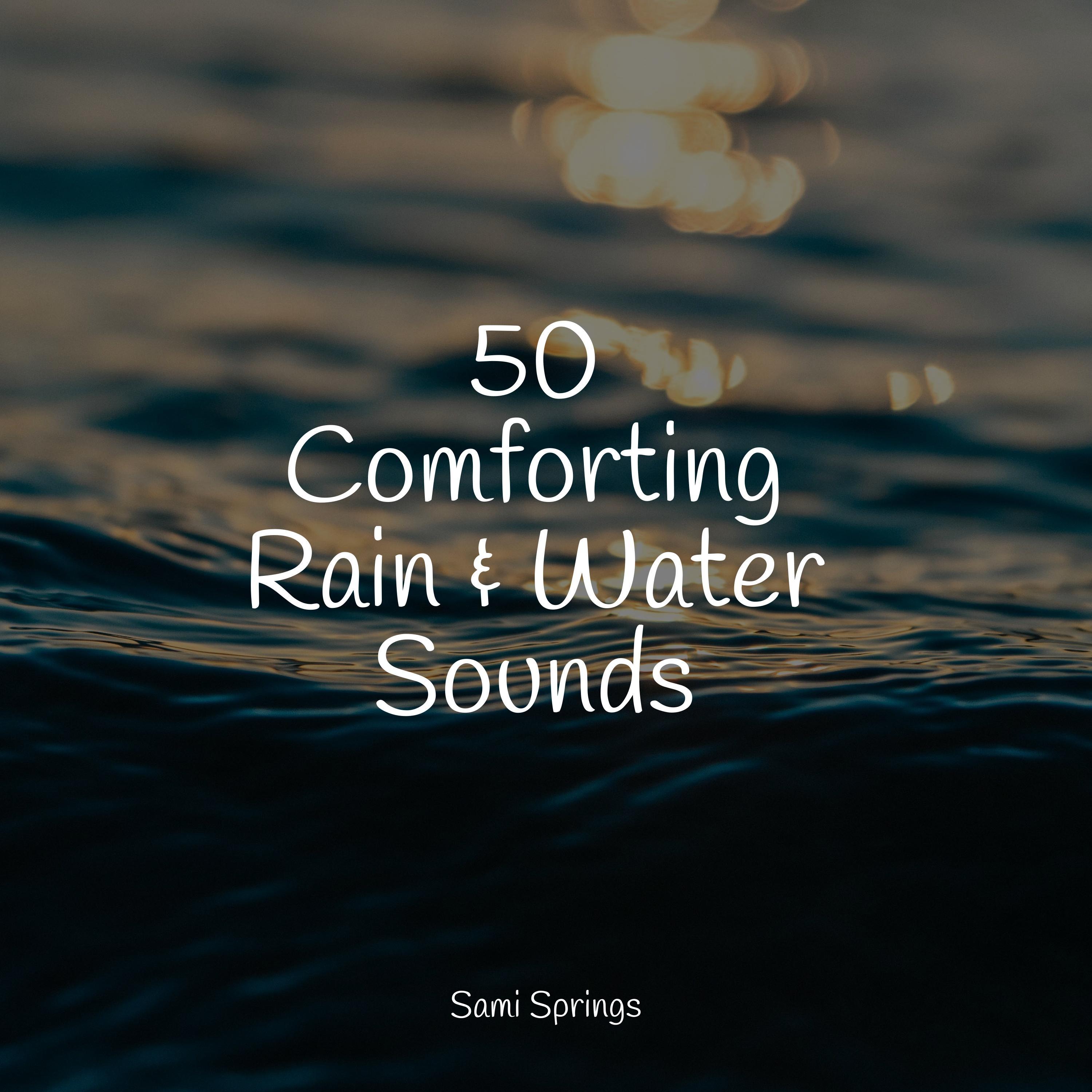 50 Comforting Rain & Water Sounds - Calm Down - 专辑 - 网易云音乐