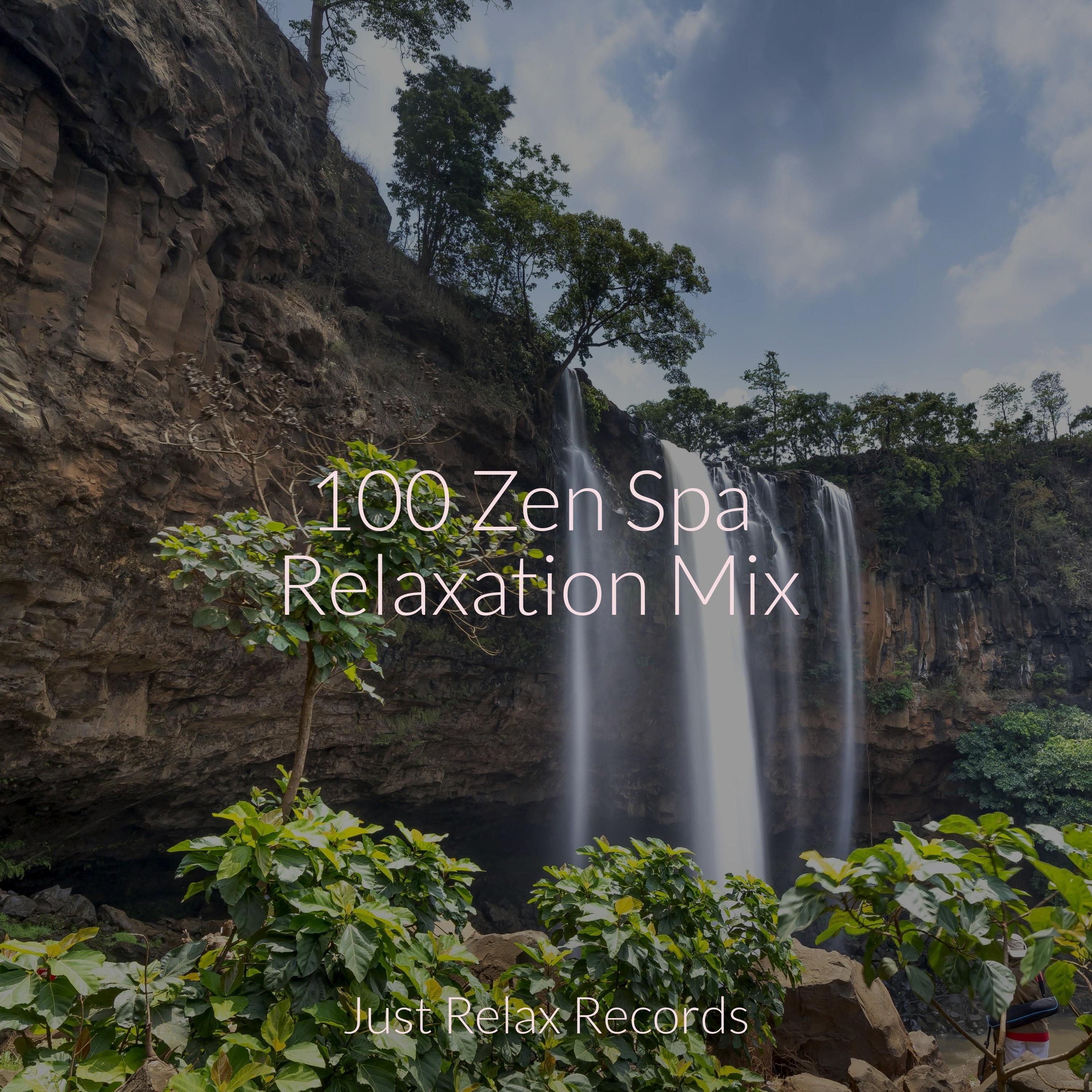 100 Zen Spa Relaxation Mix - Chakra Balancing Sound Therapy - 专辑 - 网易云音乐