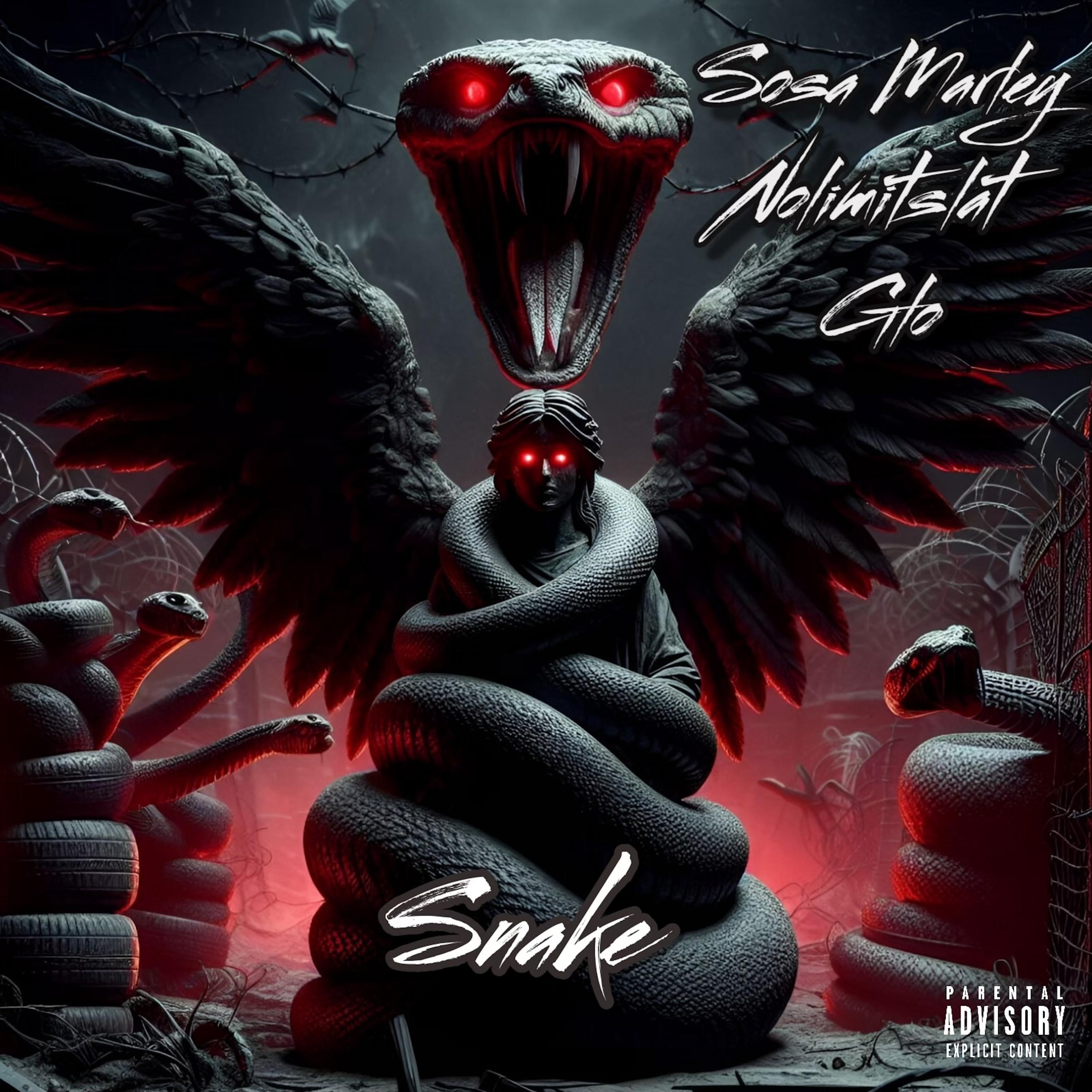 SNAKE (feat. Glo) - HeadTappers/Nolimitslat/Sosa Marley/glo - 单曲 - 网易云音乐