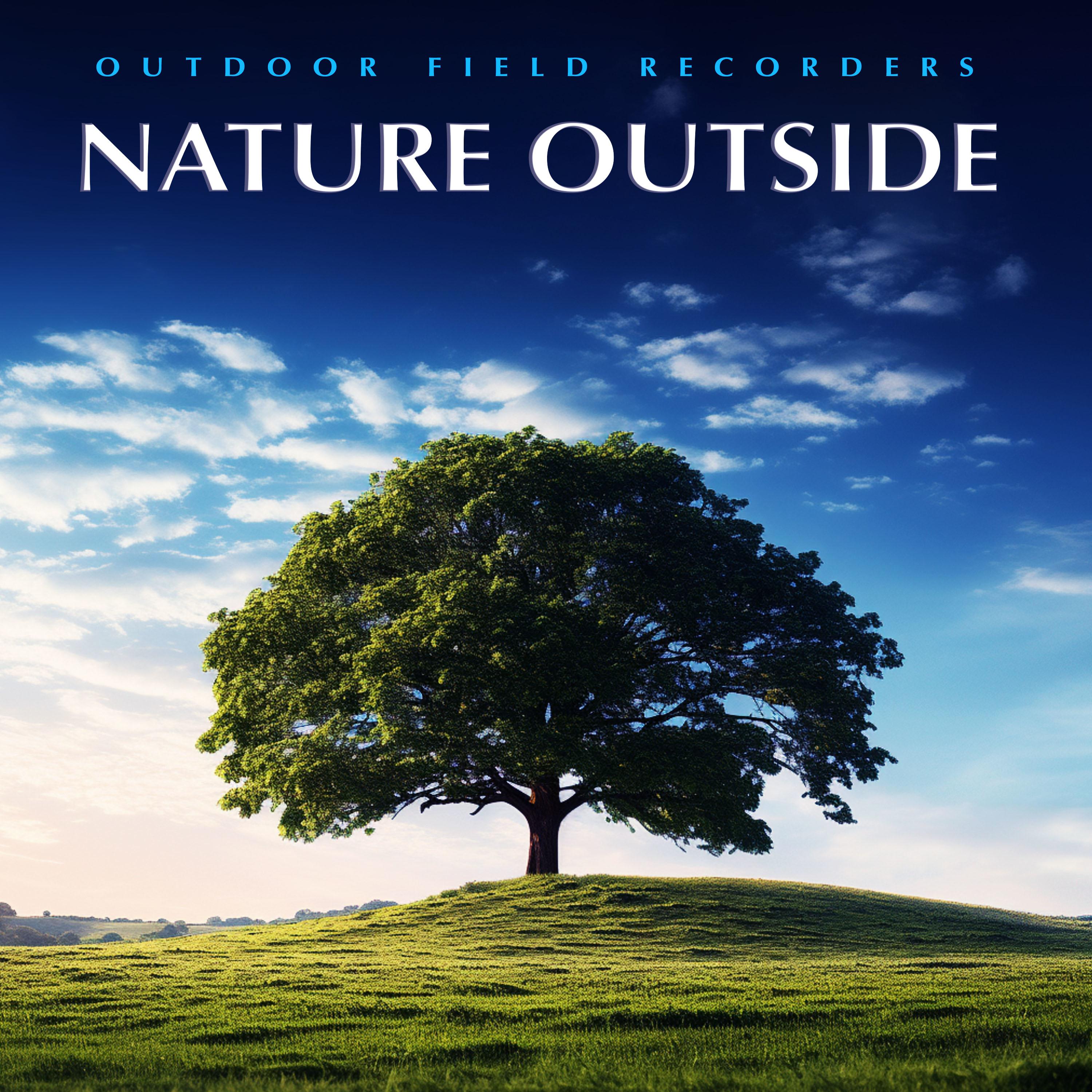 Weather Sound Recording - Outdoor Field Recorders - 单曲 - 网易云音乐