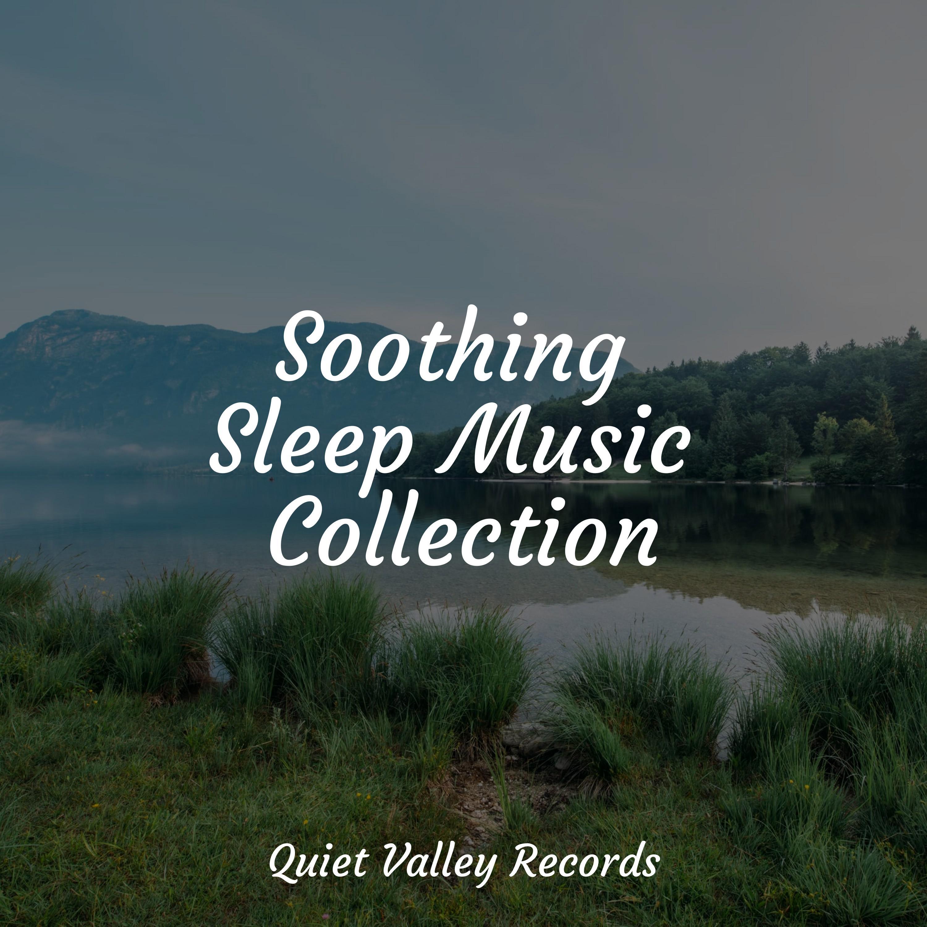 Feeling Sheltered - Weather Sounds/Soothing Baby Music/Saludo al Sol ...