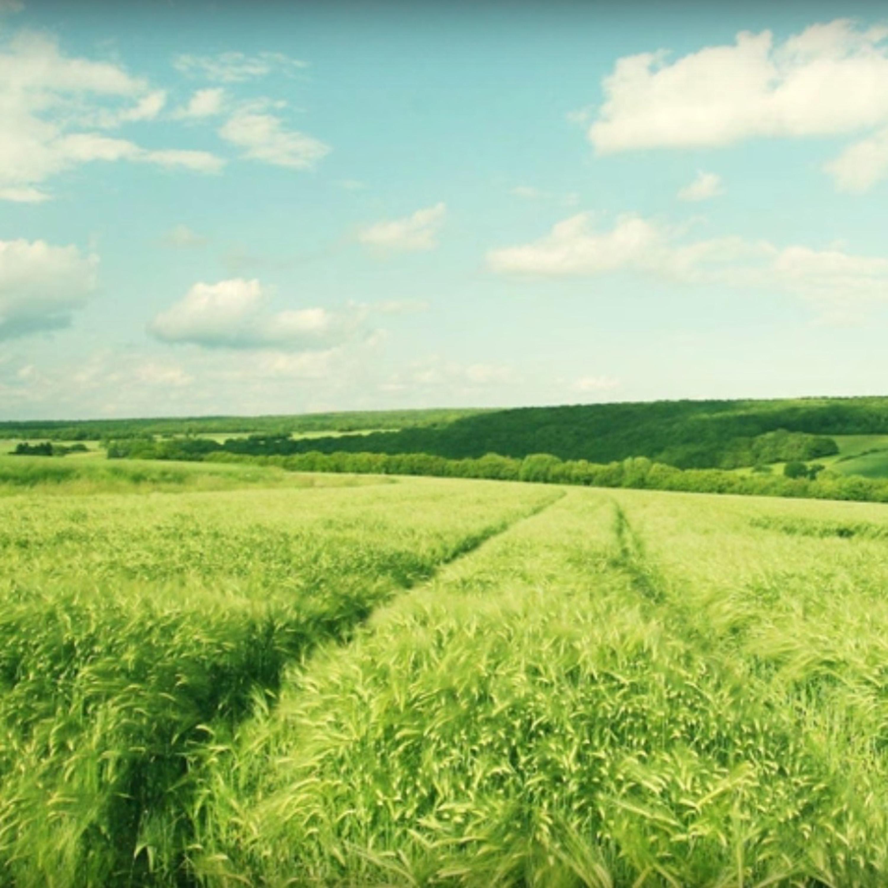 Spring In My Step（春天里的步伐） - Silent Partner - 单曲 - 网易云音乐