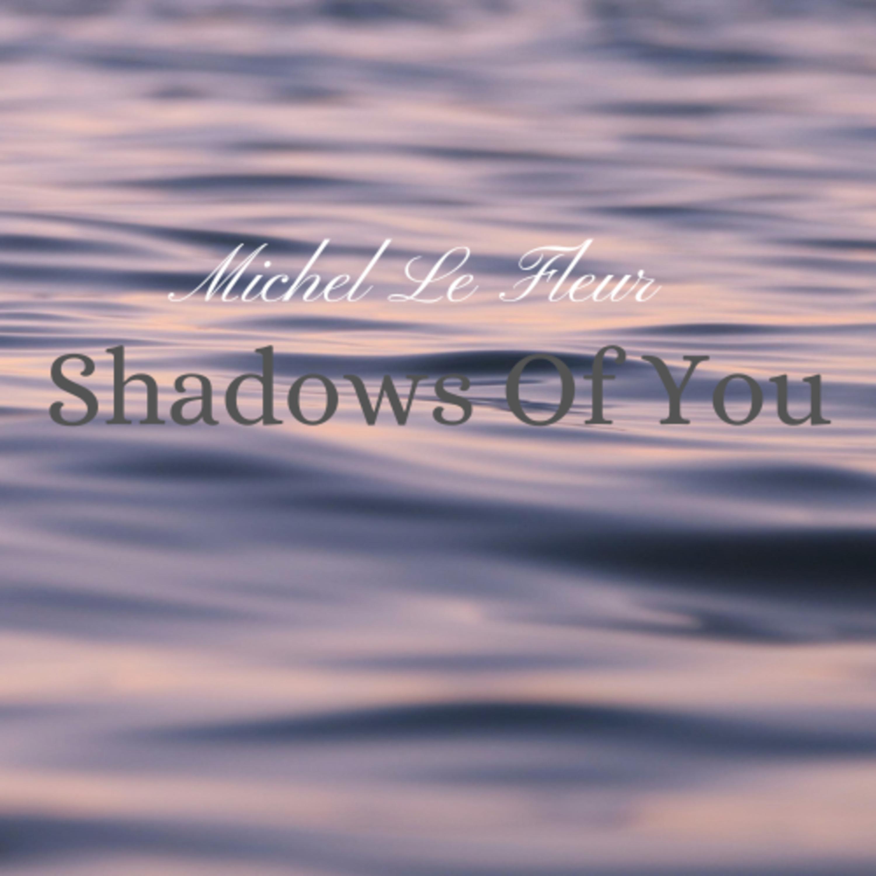 Shadows Of You - Michel le Fleur - 单曲 - 网易云音乐