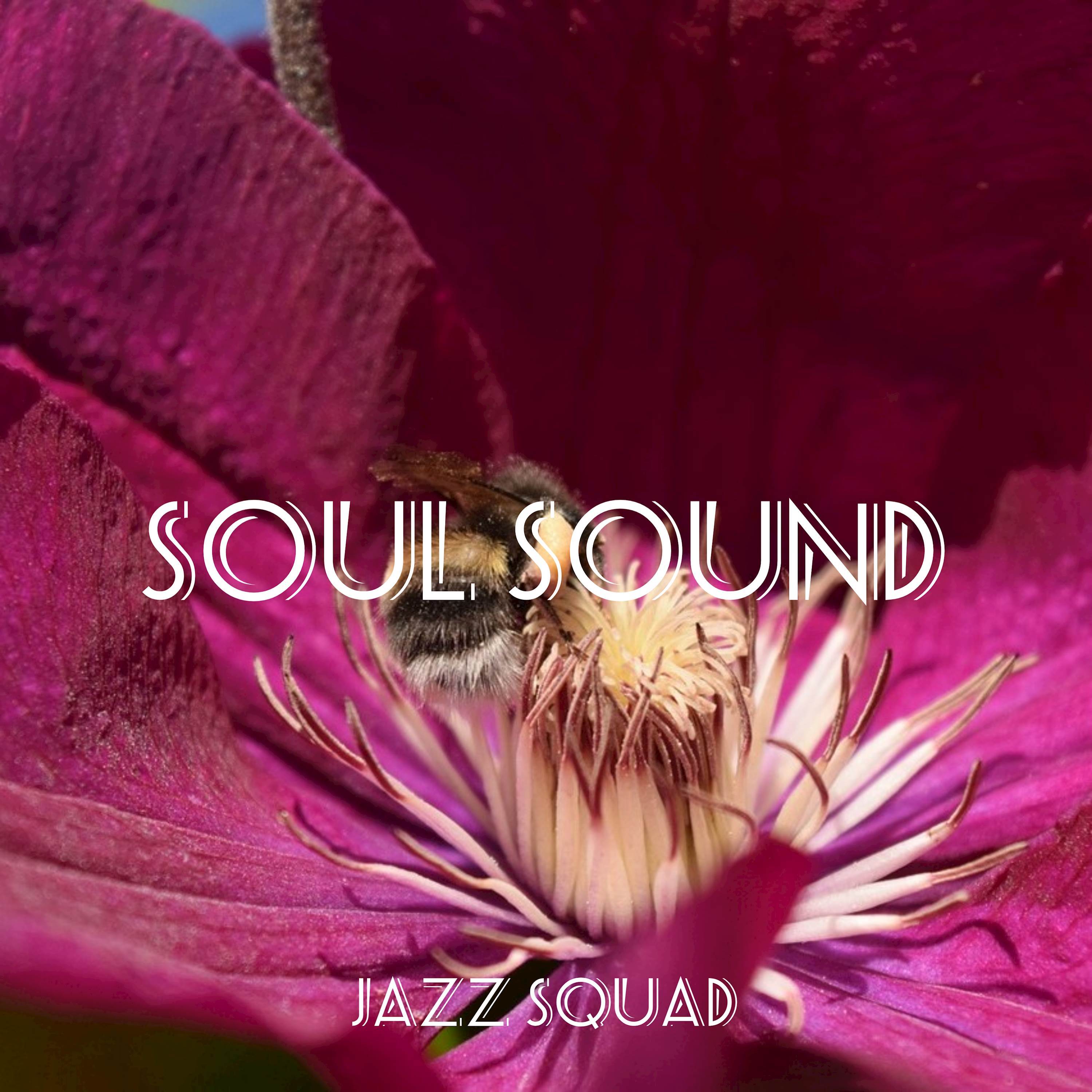 Private Soul - Jazz Squad - 单曲 - 网易云音乐