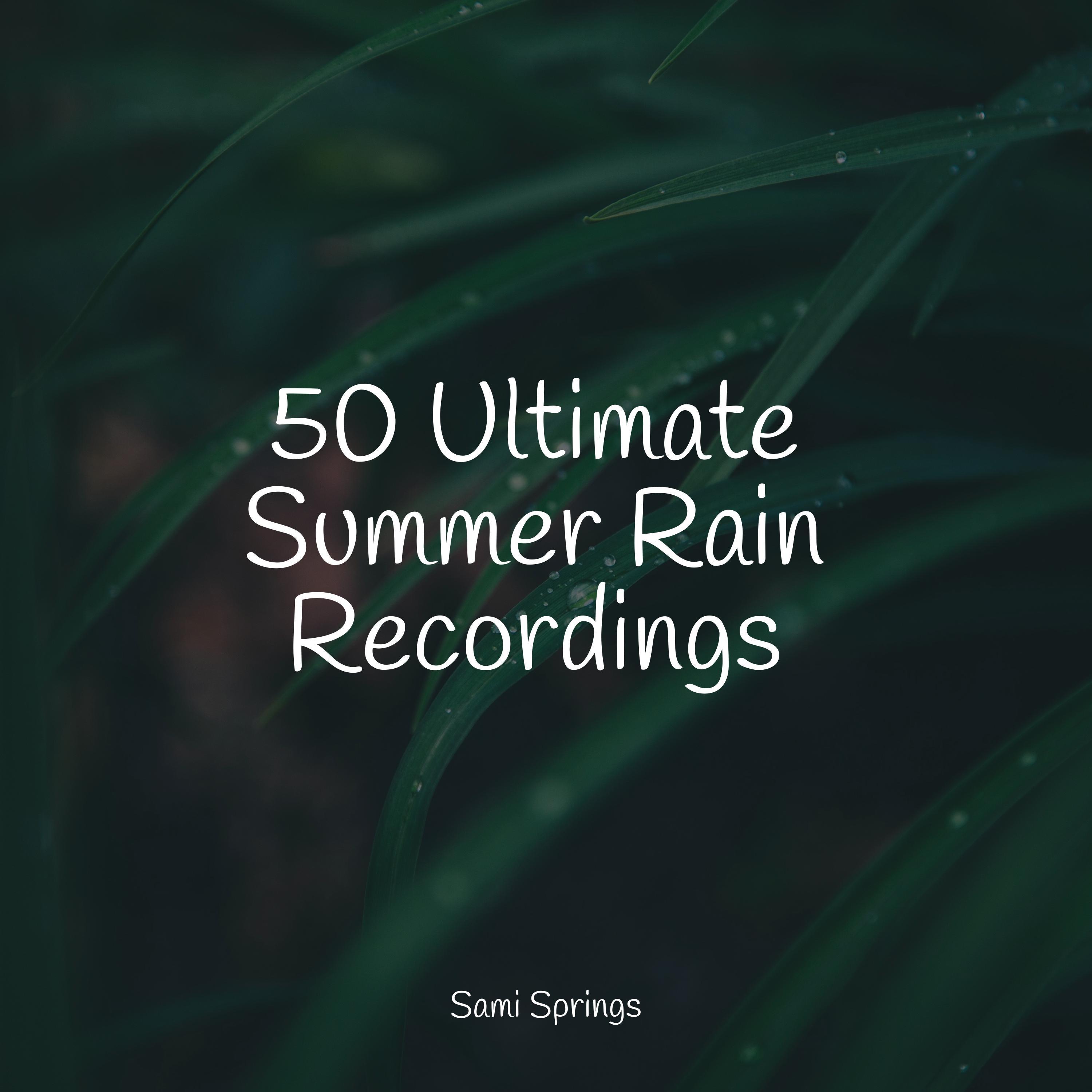50 Ultimate Summer Rain Recordings - Nature Sounds Relaxation: Music ...
