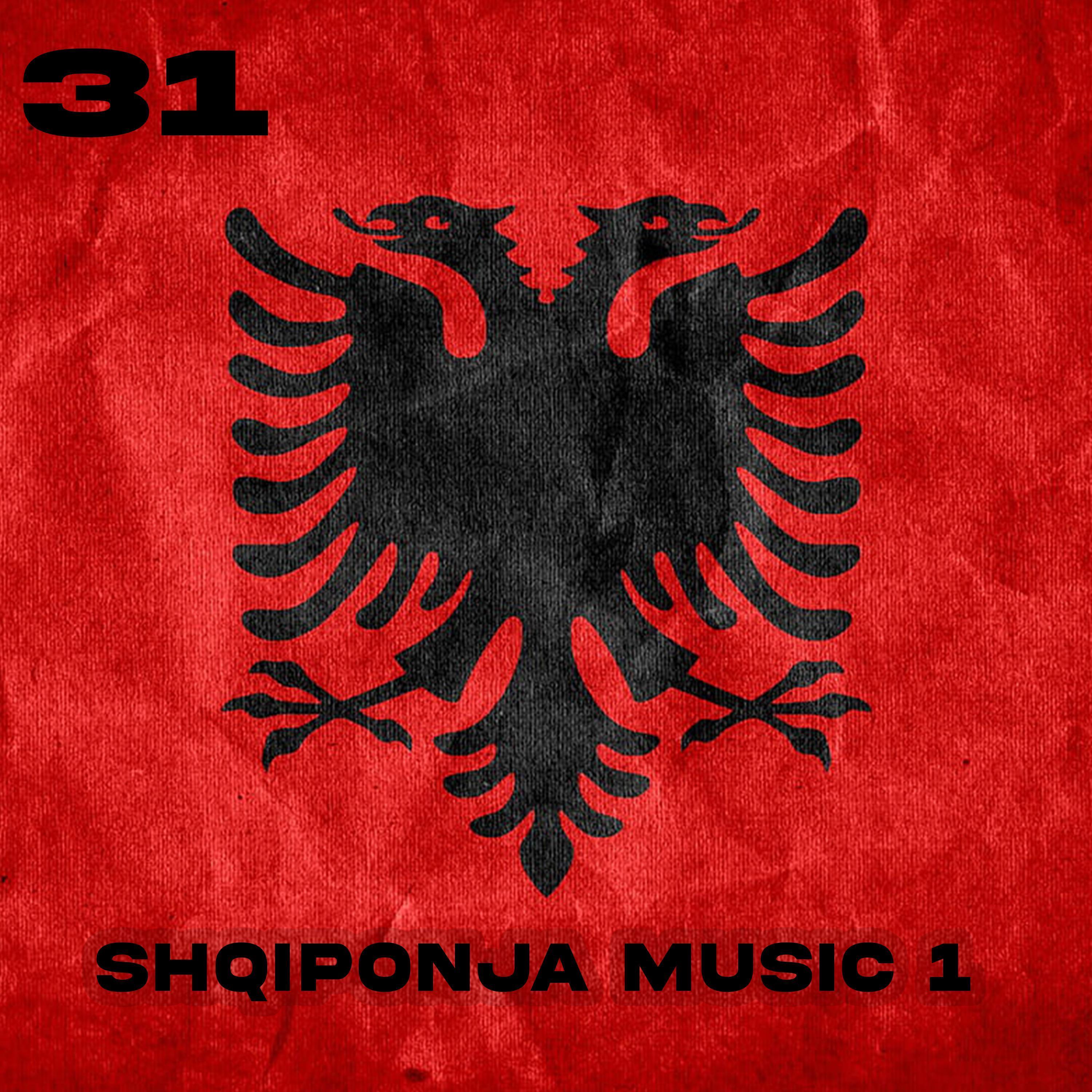 Shqiponja Music 31 - Various Artists - 专辑 - 网易云音乐