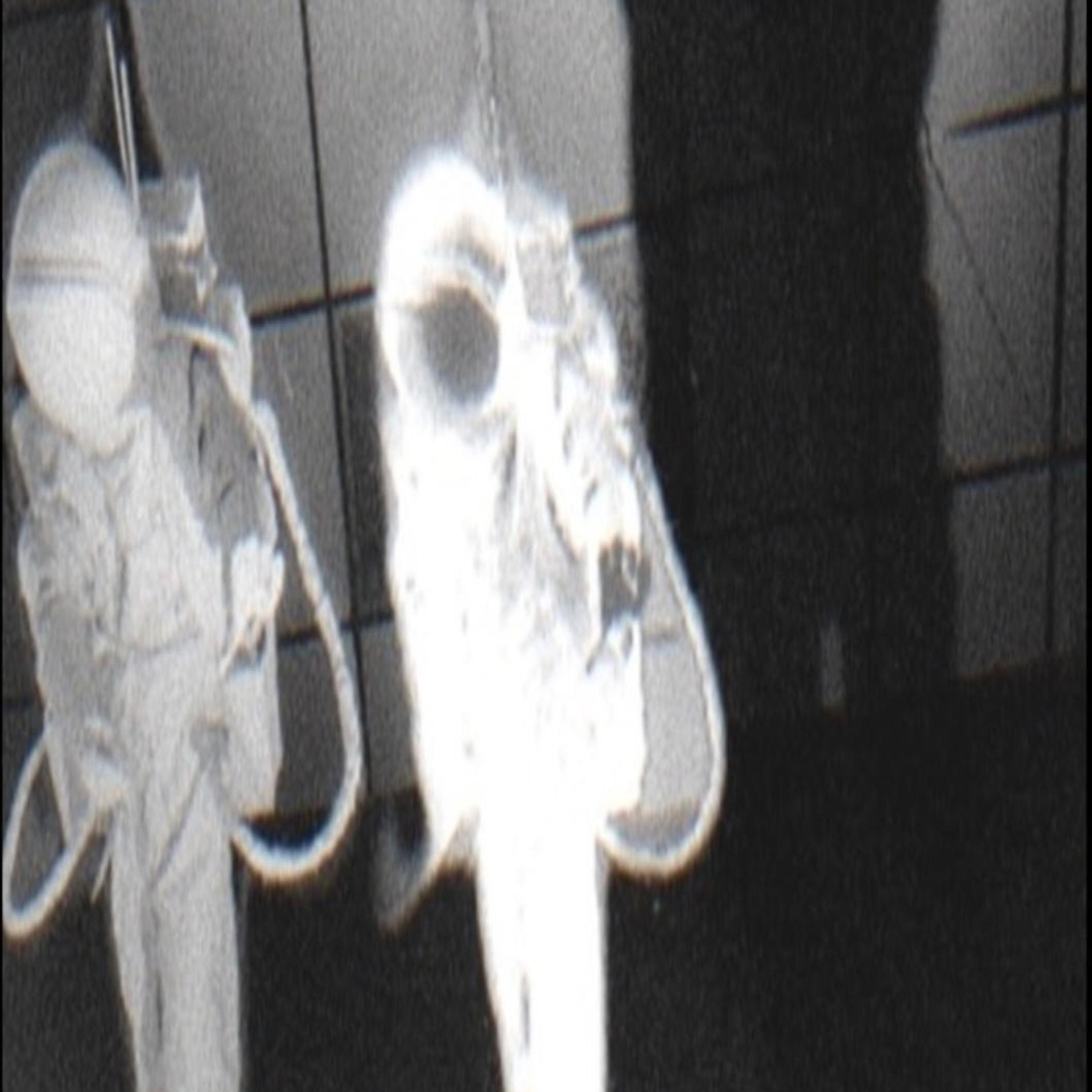 C4 (feat. Thrand Hajilè) - Dame Void/Thrand Hajile - 单曲 - 网易云音乐