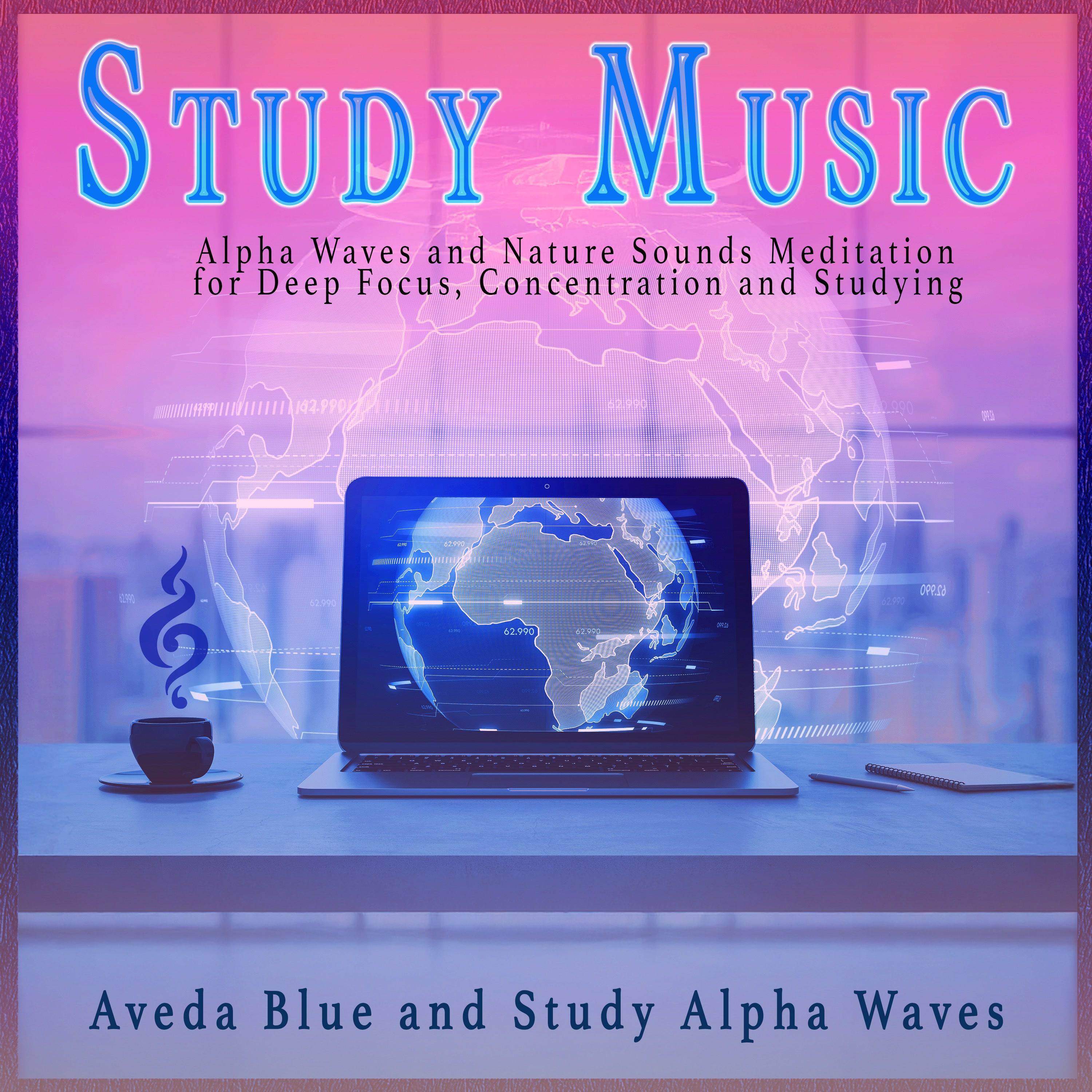 Better Memory Focus Moments - Brainwave Studying Music Academy/Aveda ...