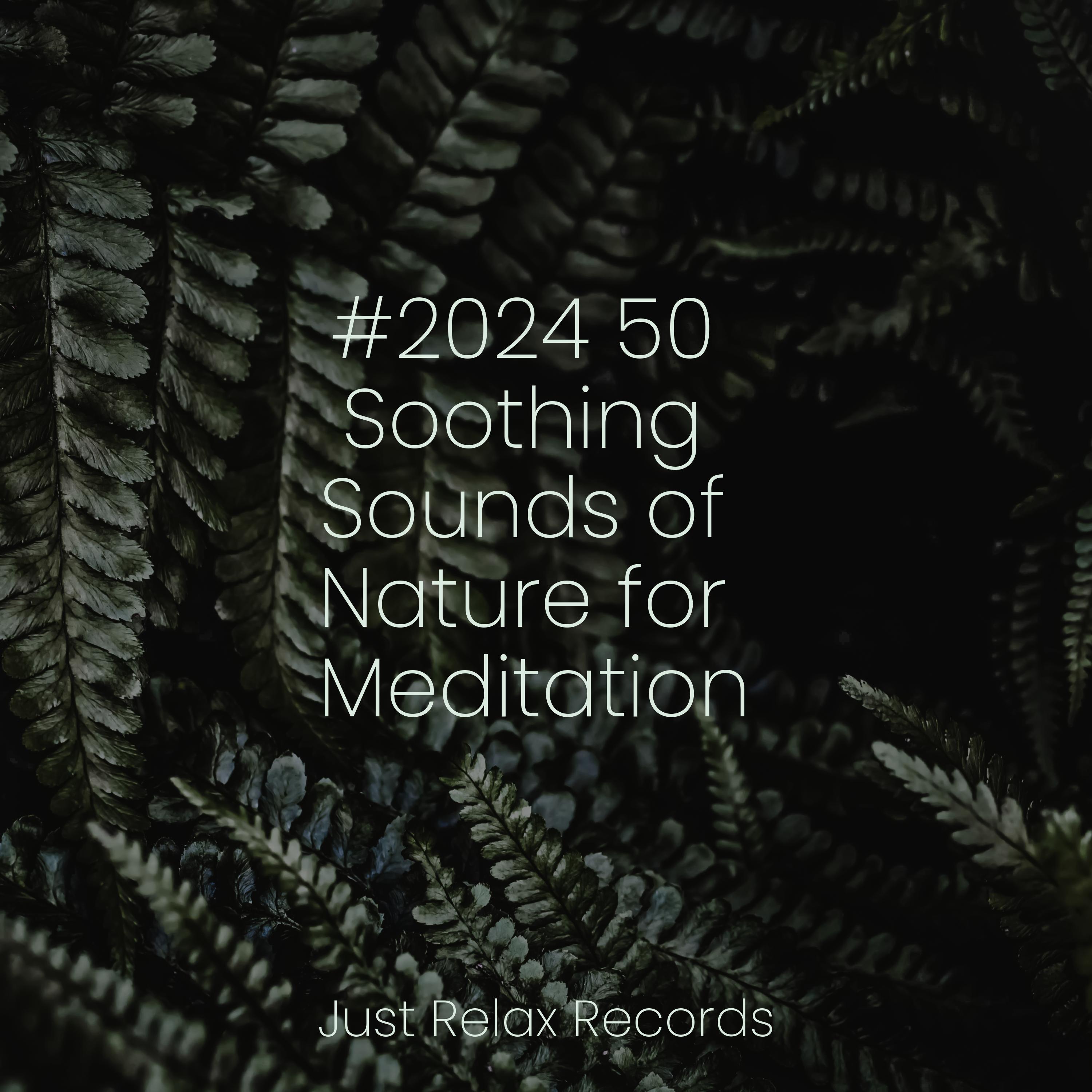 Nightfall's Shroud - Calm Music for Studying/Calming Sounds/Soothing ...