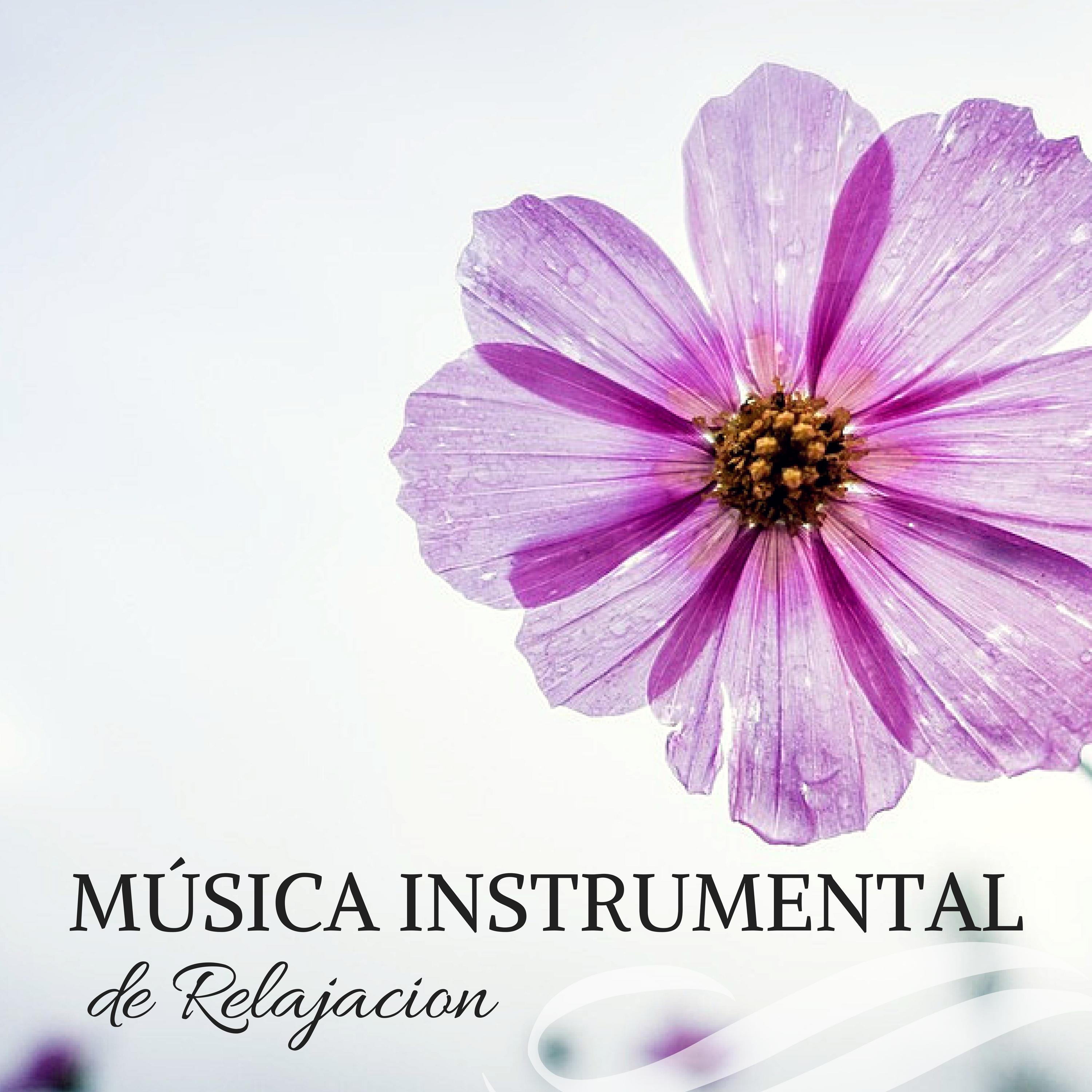 Música Instrumental de Relajacion - Musica para Acostarse - 单曲 - 网易云音乐