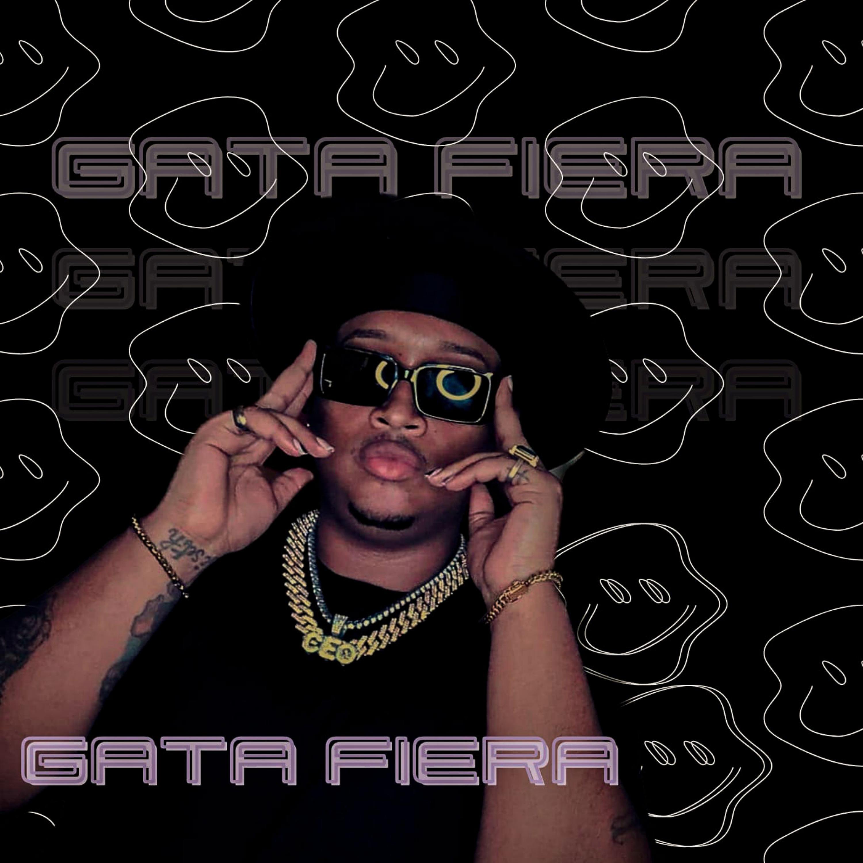 Gata Fiera - Dj Kenall - 单曲 - 网易云音乐