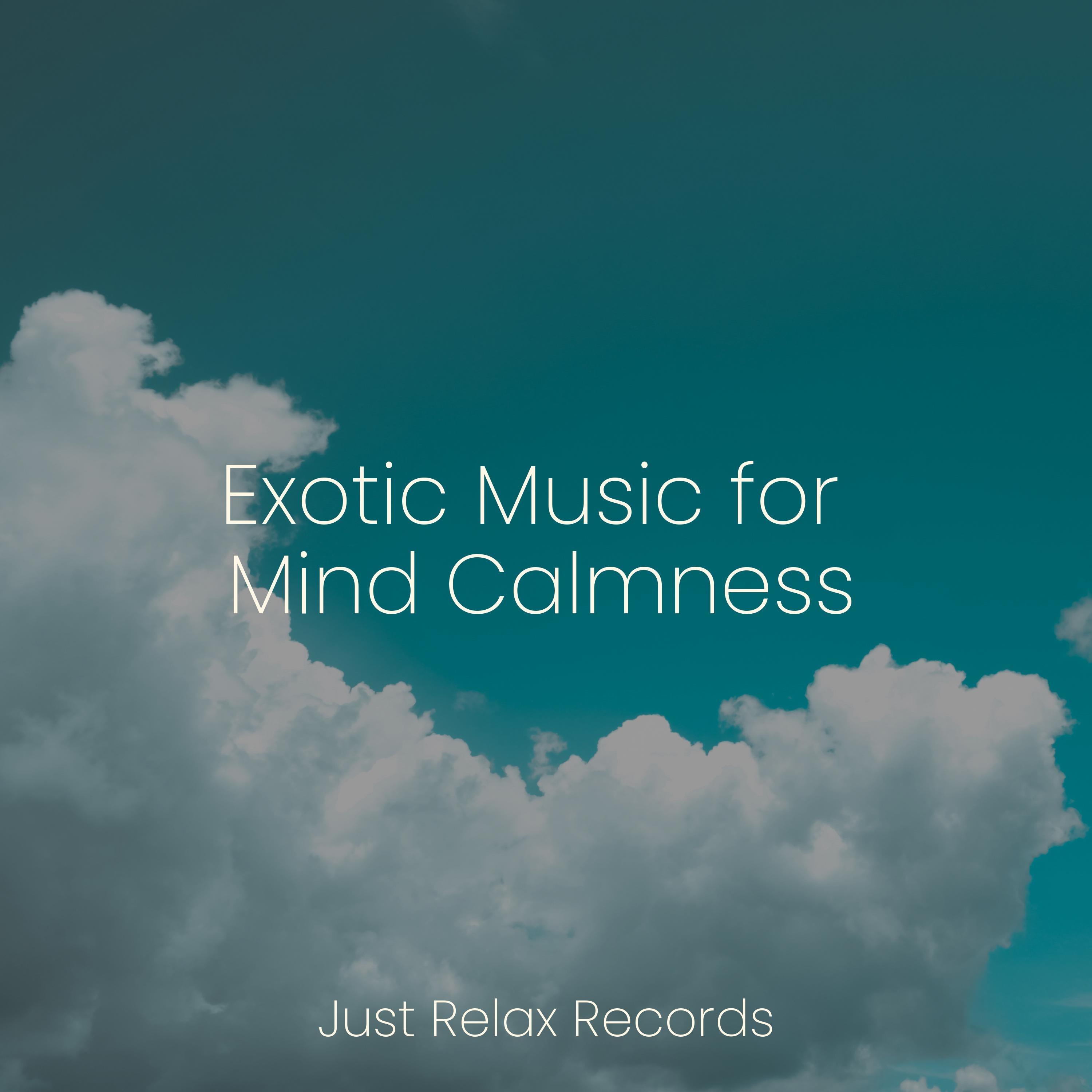 Exotic Music for Mind Calmness - Música a Relajarse - 专辑 - 网易云音乐
