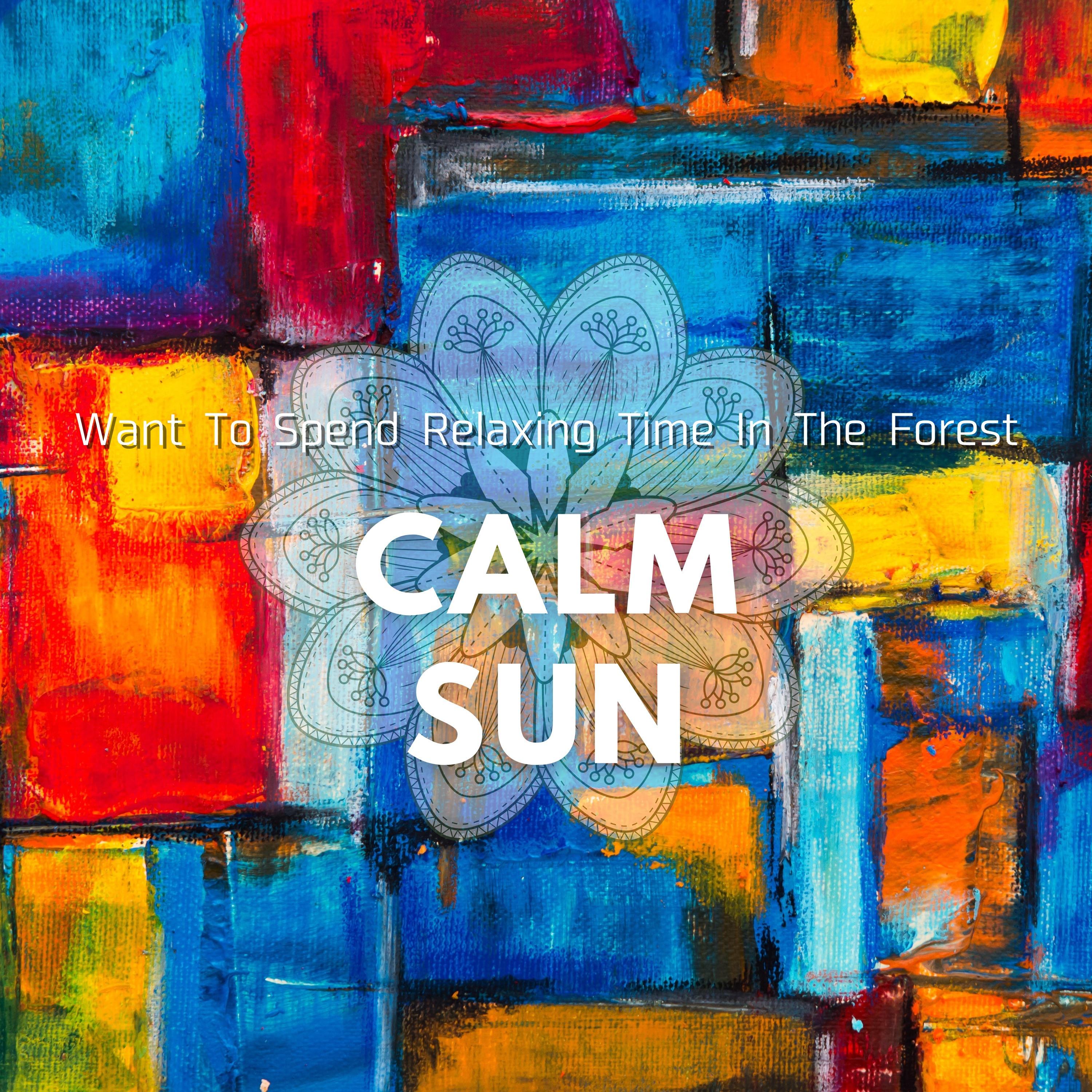 A Cup of Tea and a Pie - Calm Sun - 单曲 - 网易云音乐