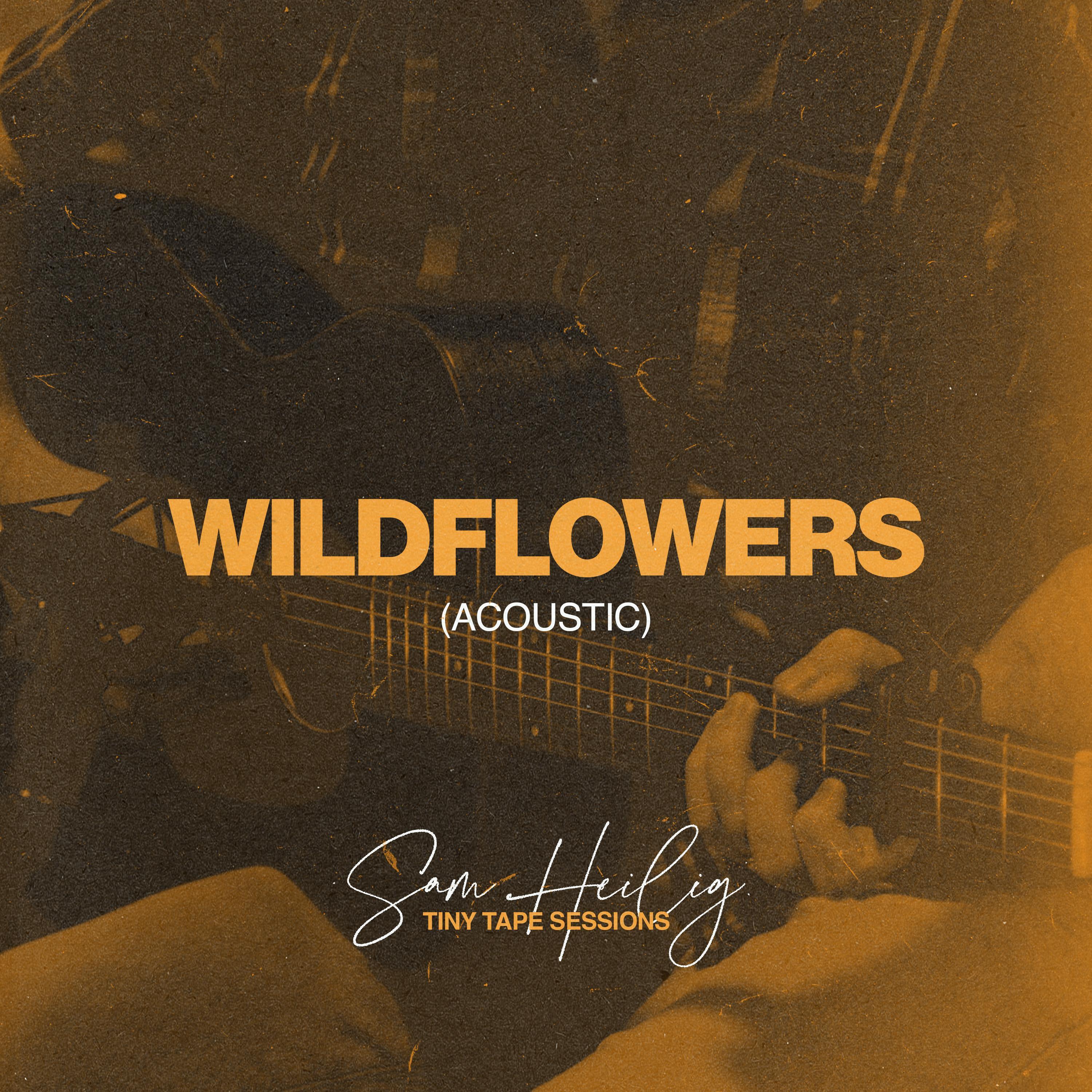 Wildflowers (Acoustic) - Sam Heilig - 单曲 - 网易云音乐