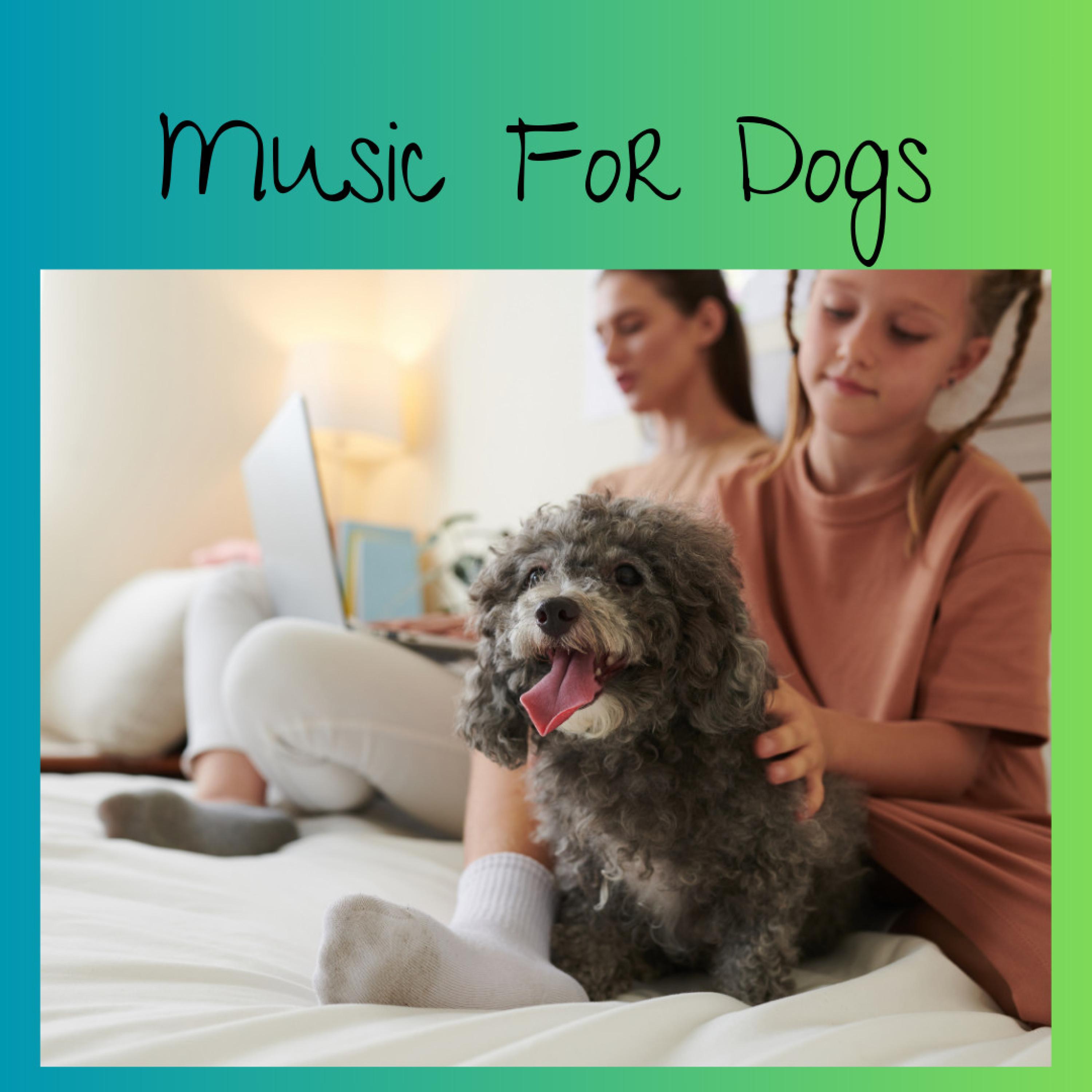 Dreamy Paws - Music For Dogs/Music For Dogs Peace/Relaxing Puppy Music ...