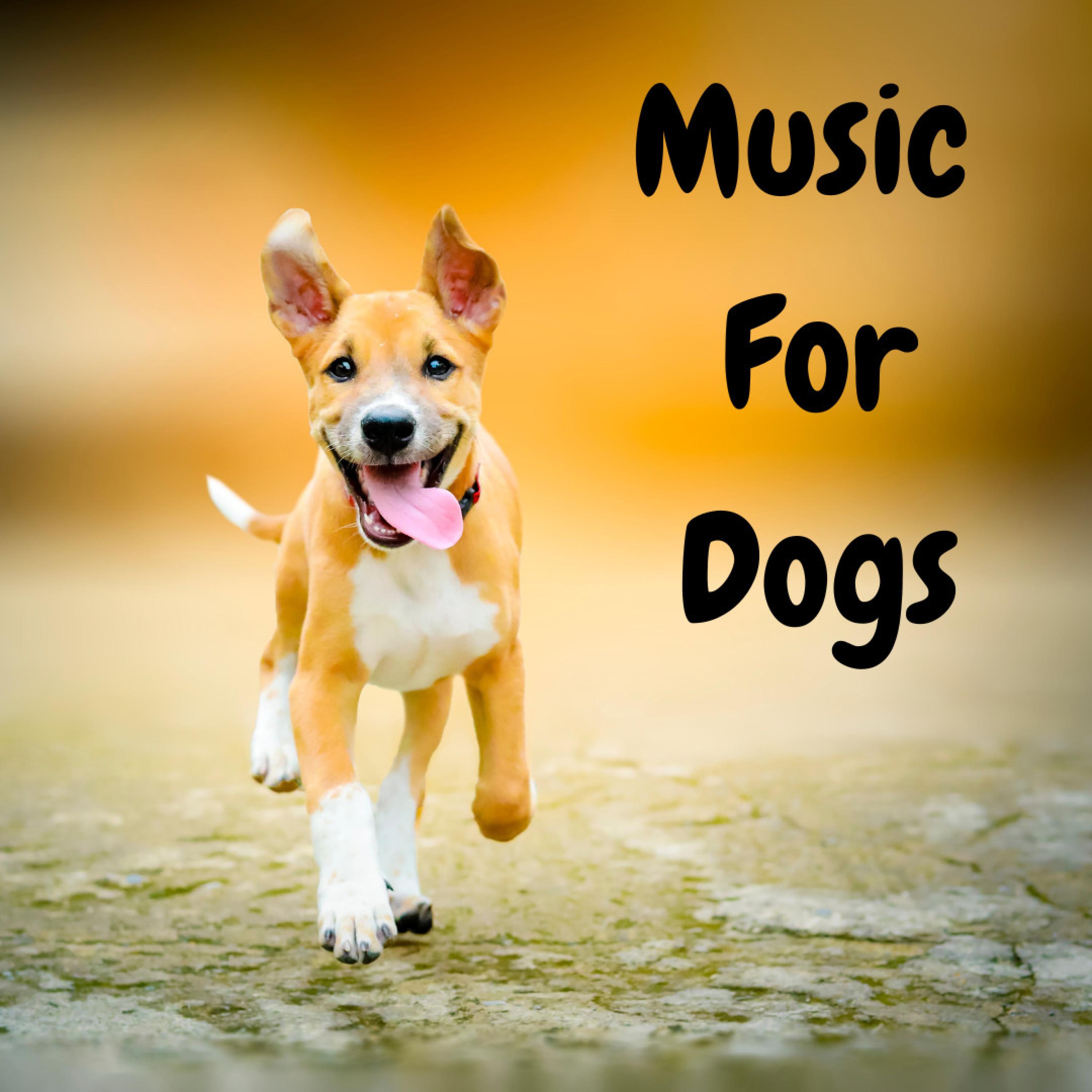 Gentle Beats for Happy Tails - Music For Dogs/Music For Dogs Peace ...