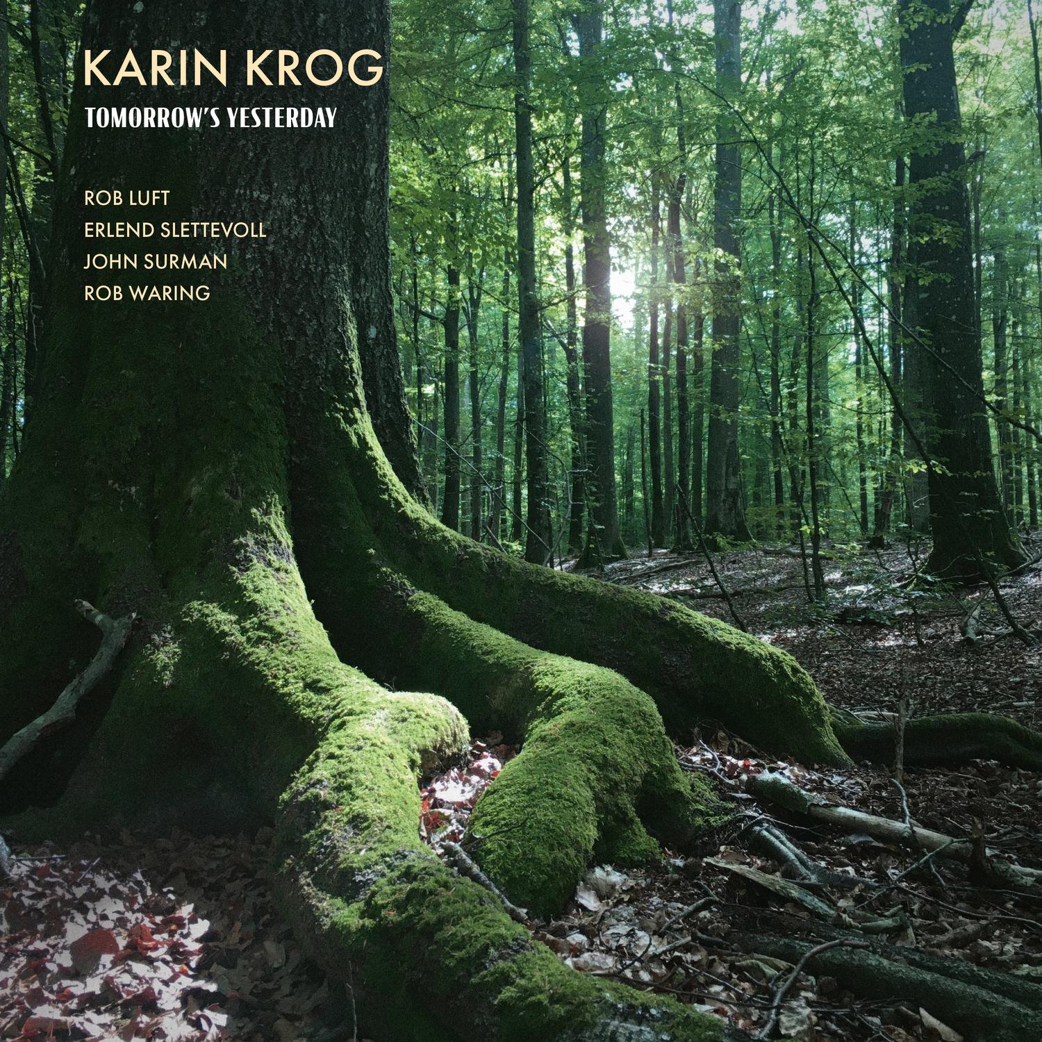 Angel Eyes - Karin Krog/Rob Luft/John Surman - 单曲 - 网易云音乐