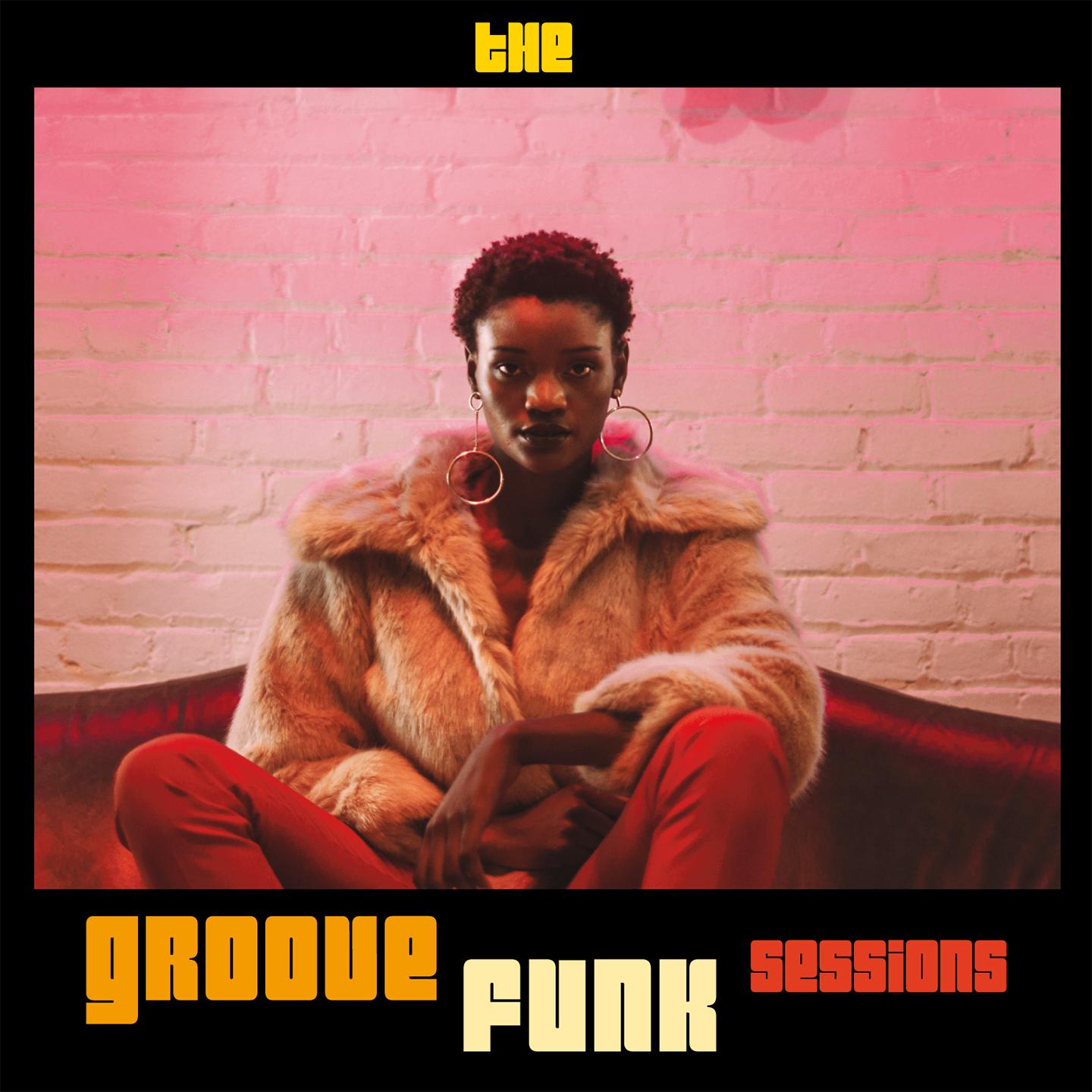 The Groove Funk Sessions - Various Artists - 专辑 - 网易云音乐