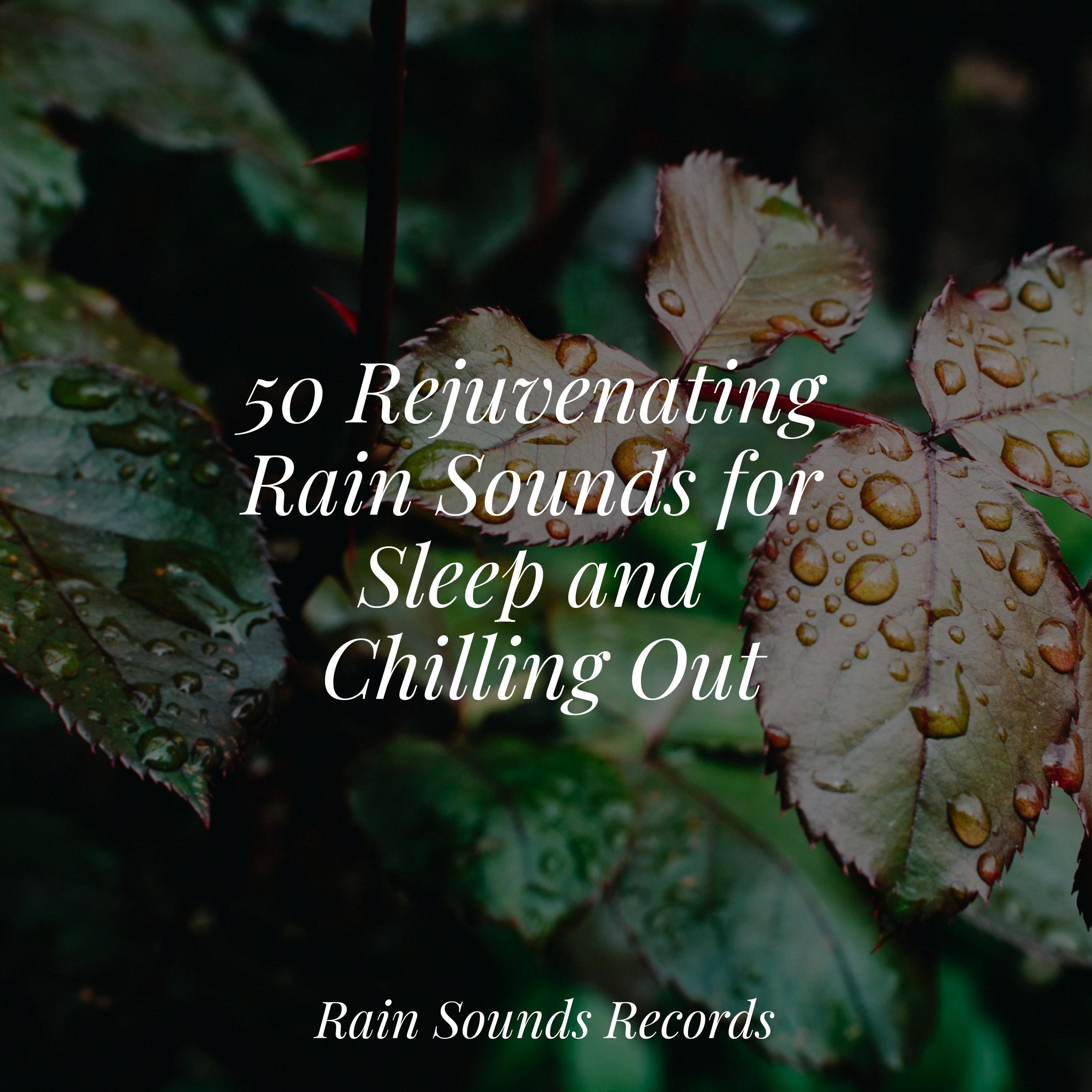 50 Rejuvenating Rain Sounds for Sleep and Chilling Out - Instrumental ...