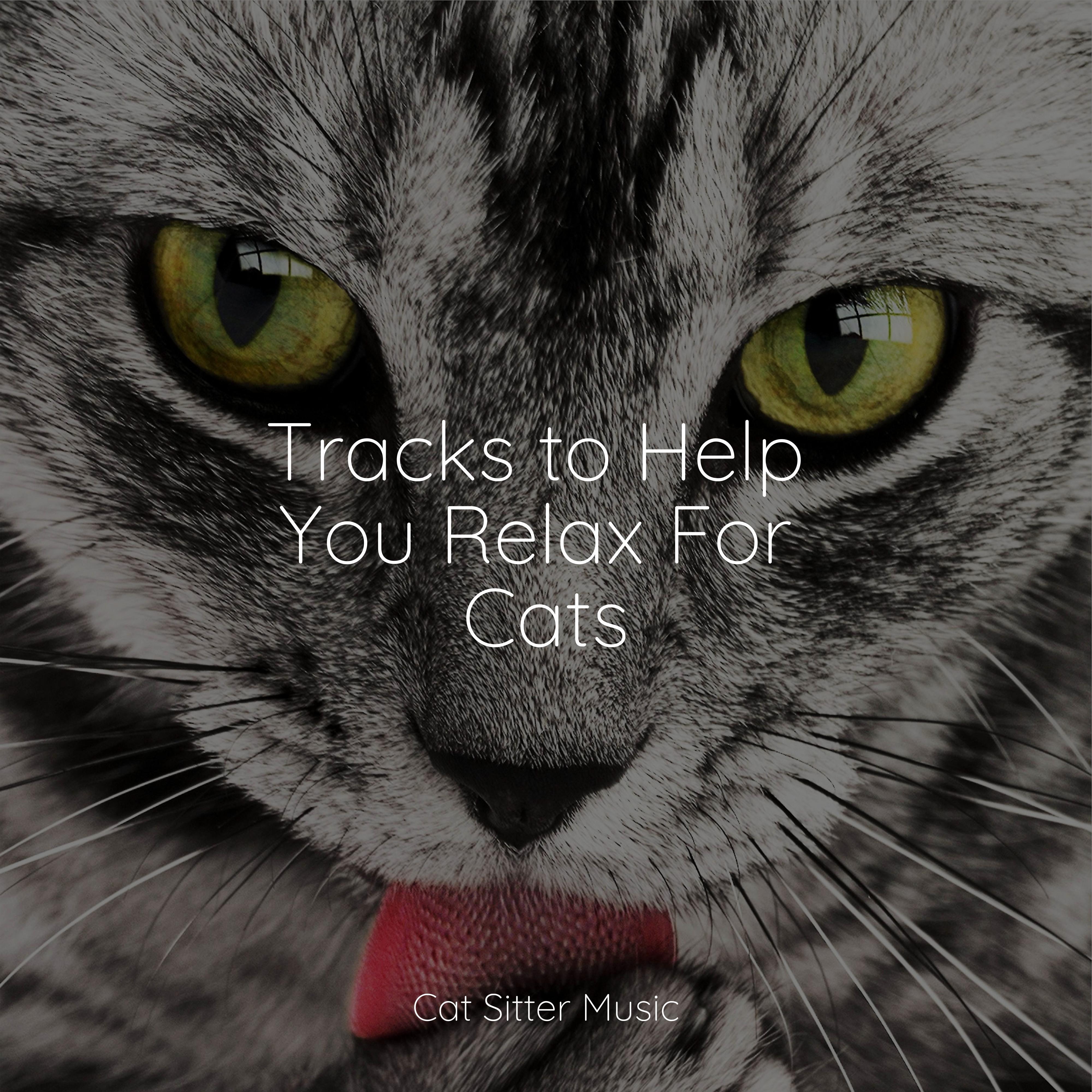 Planet in Flux - Jazz Music for Cats/Music for Cats Project/Music for ...