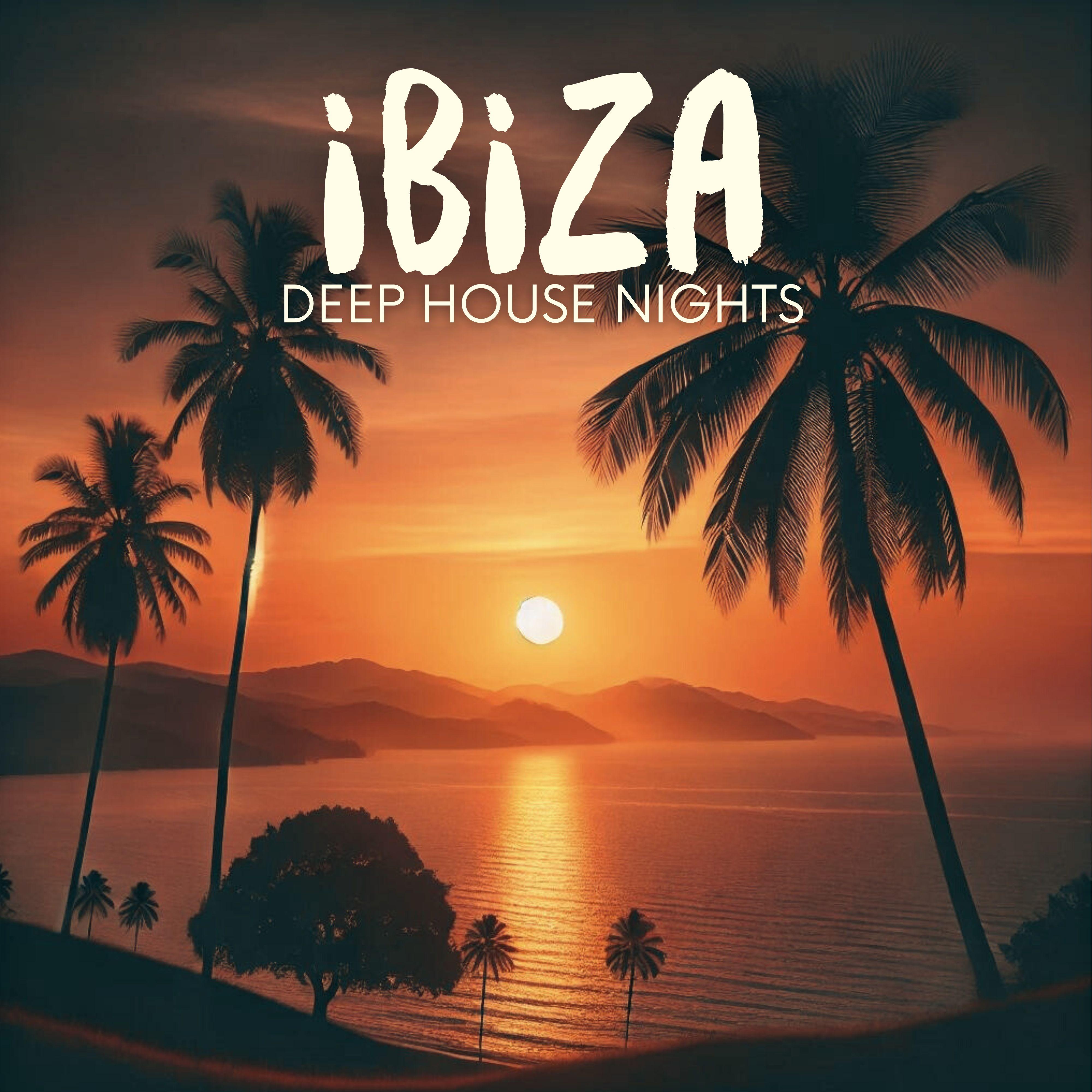 Sunset Paradise Mix - Ibiza House Classics/Dj Dimension EDM - 单曲 - 网易云音乐