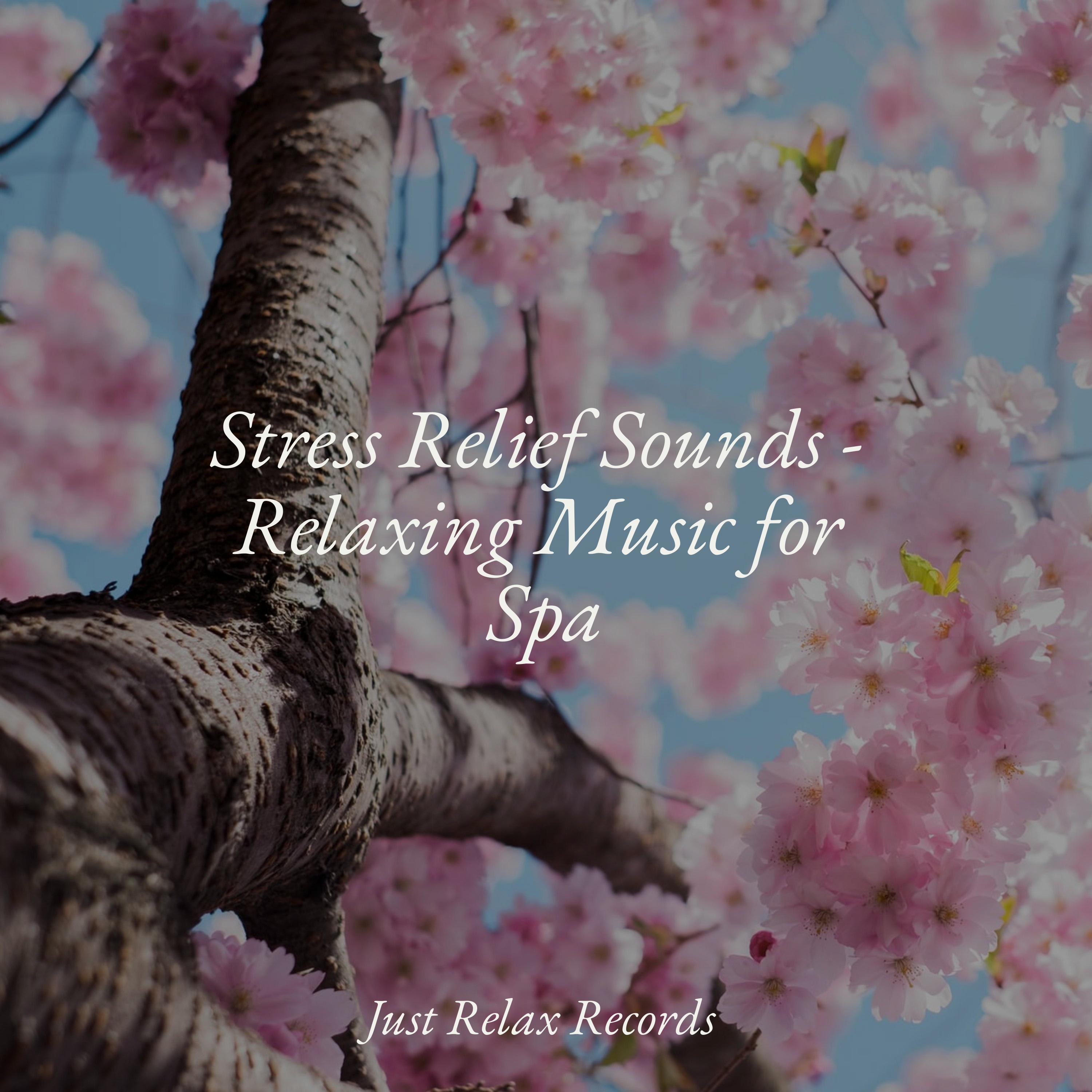 Elevated Calmness - Relaxing Spa Music/Baby Songs & Lullabies For Sleep ...