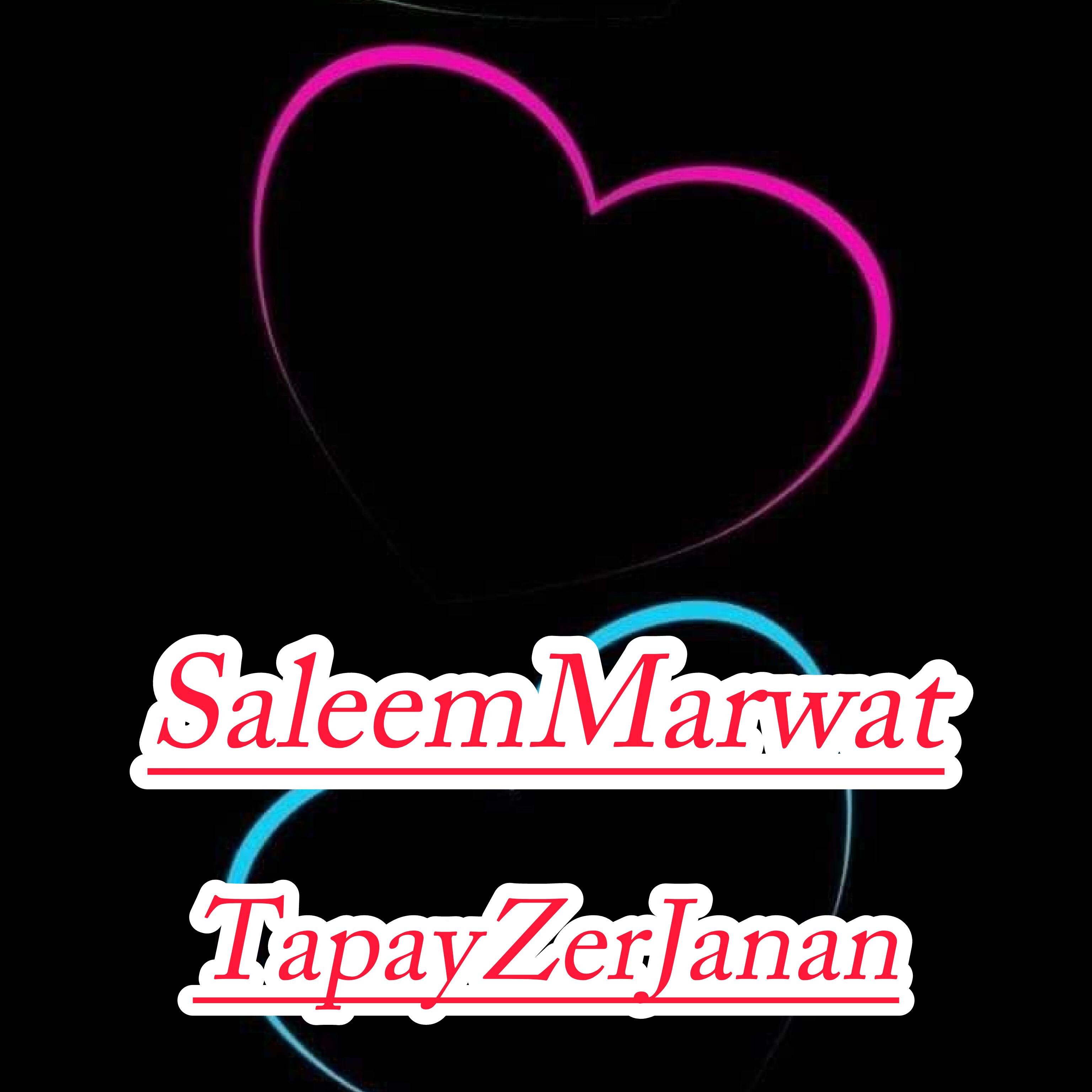 Tapay Zer Janan - Saleem Marwat - 单曲 - 网易云音乐