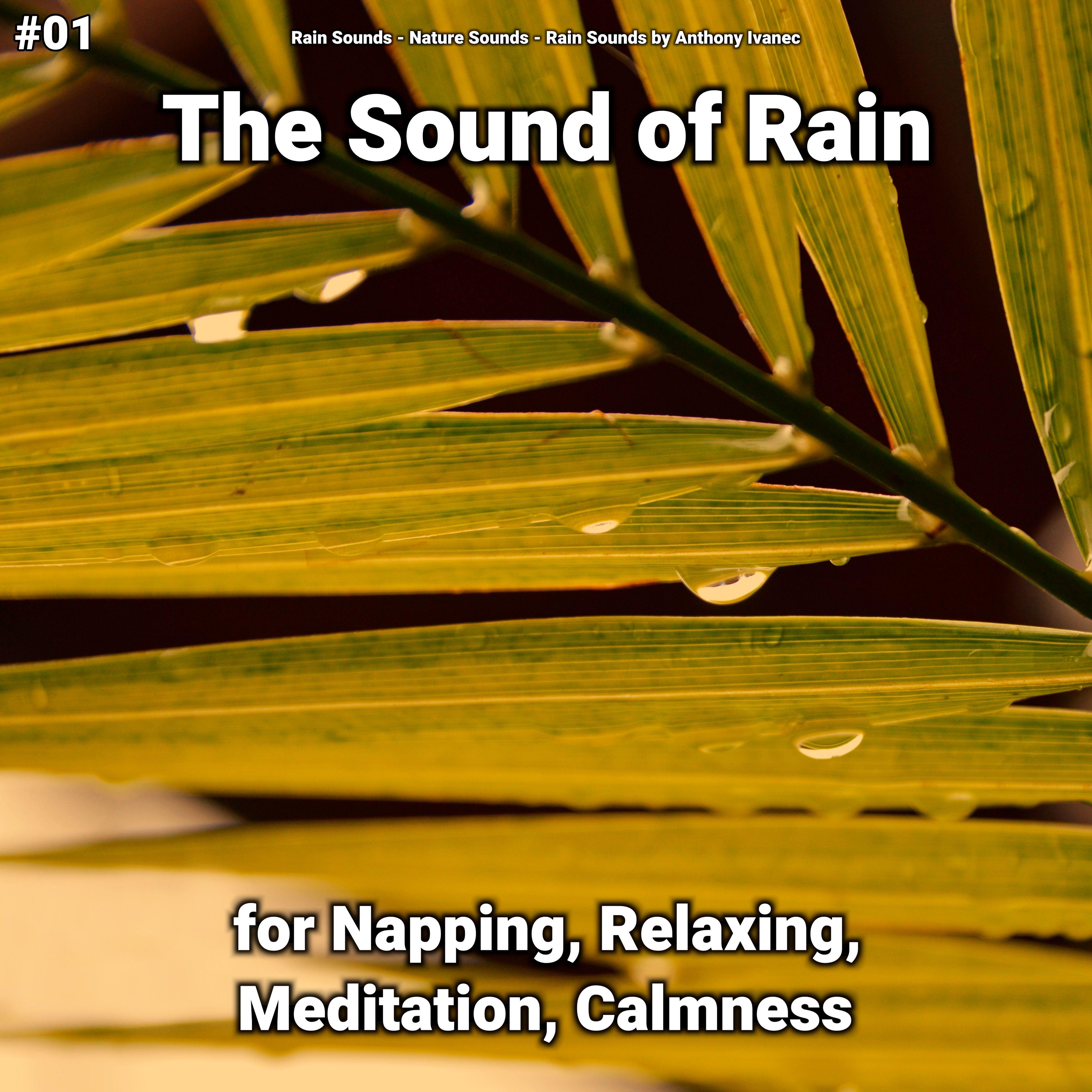 Unique Rain Sounds - Rain Sounds/Nature Sounds - 单曲 - 网易云音乐