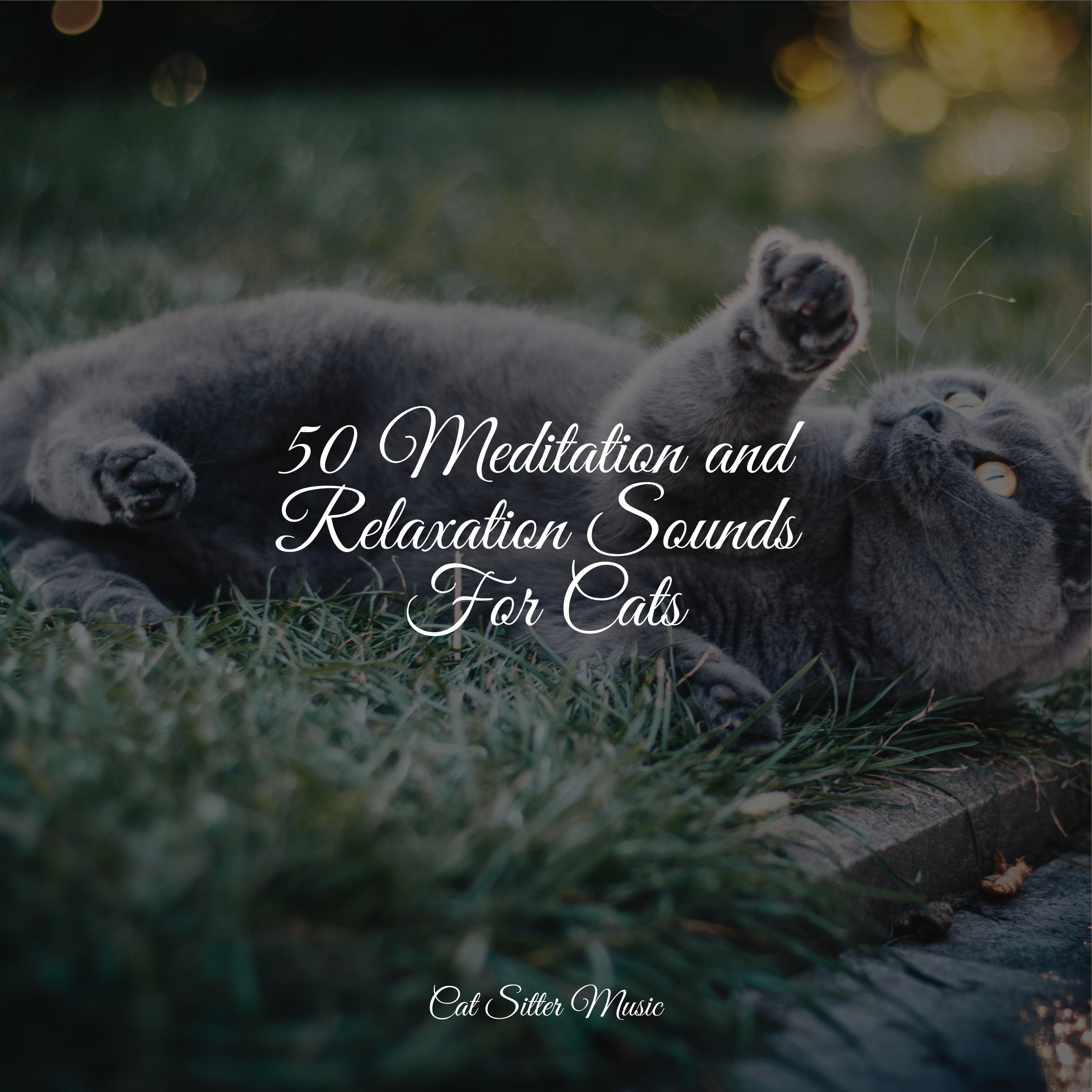 Tides of Delta Waves - Music for Relaxing Cats/Calm Music for Cats/Cat ...