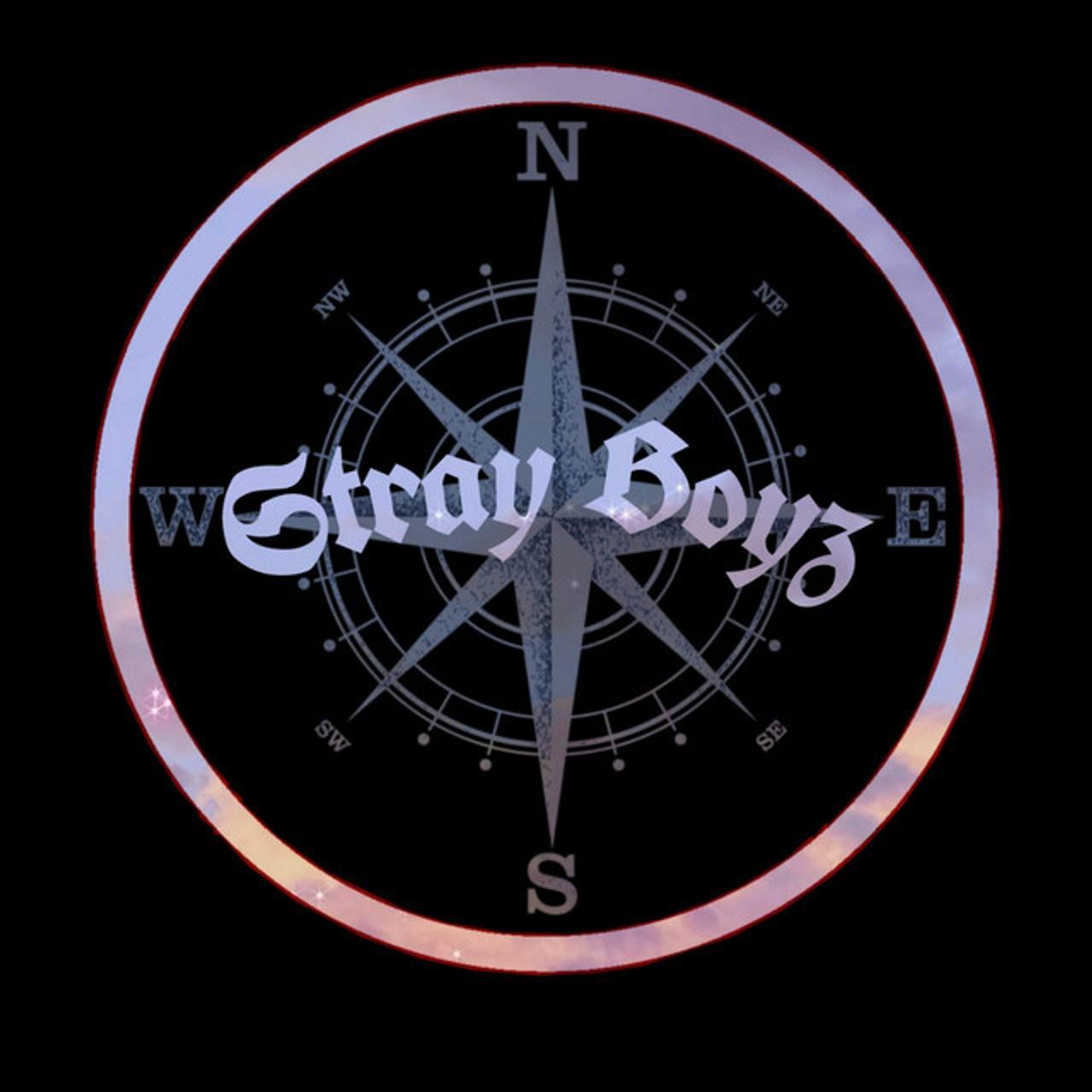 Stray boyzz - 歌手 - 网易云音乐