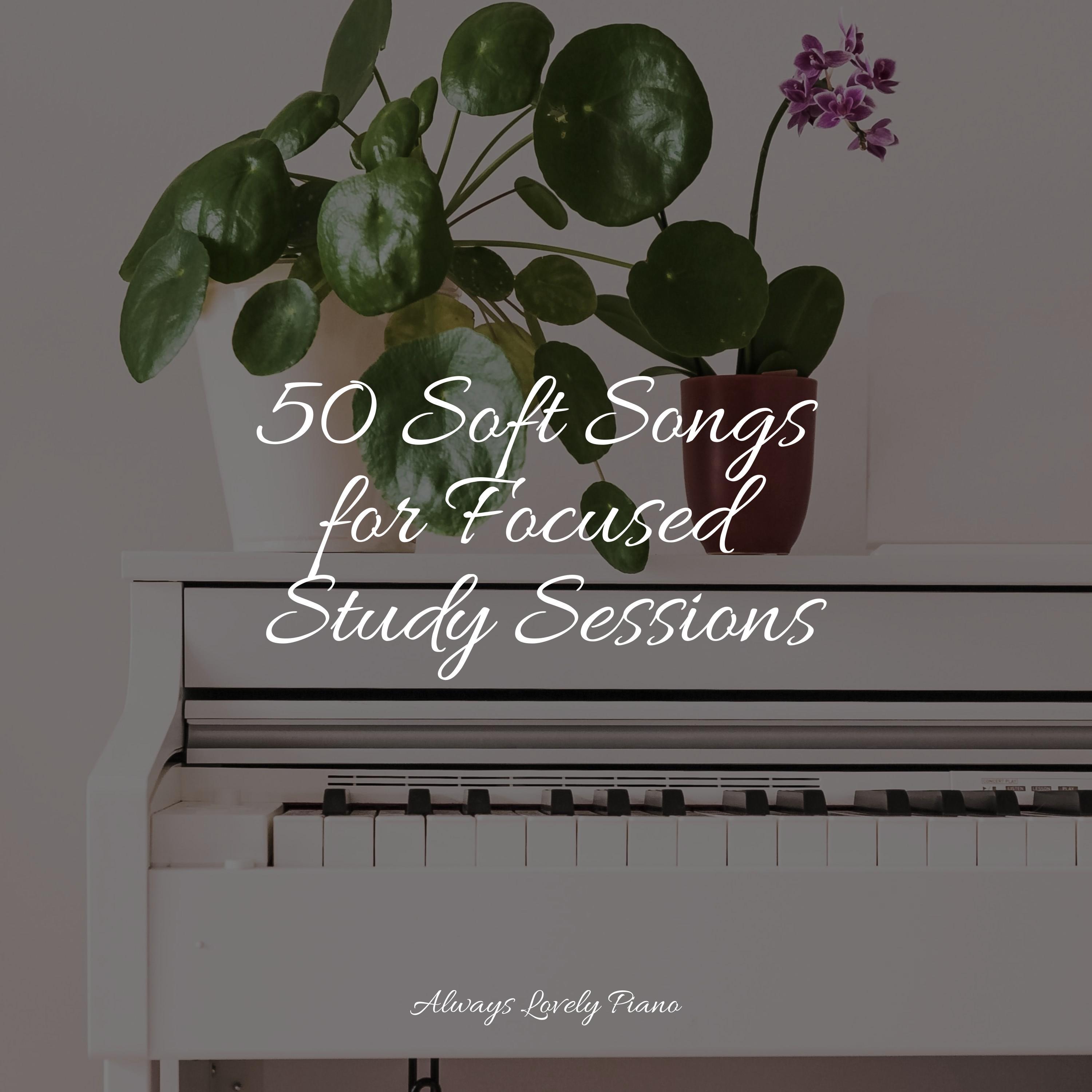 50 Soft Songs for Focused Study Sessions - Klassisk Musik Orkester - 专辑 ...